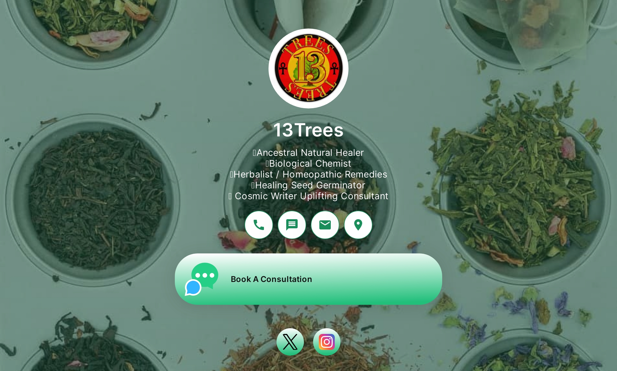 13Trees' Flowpage