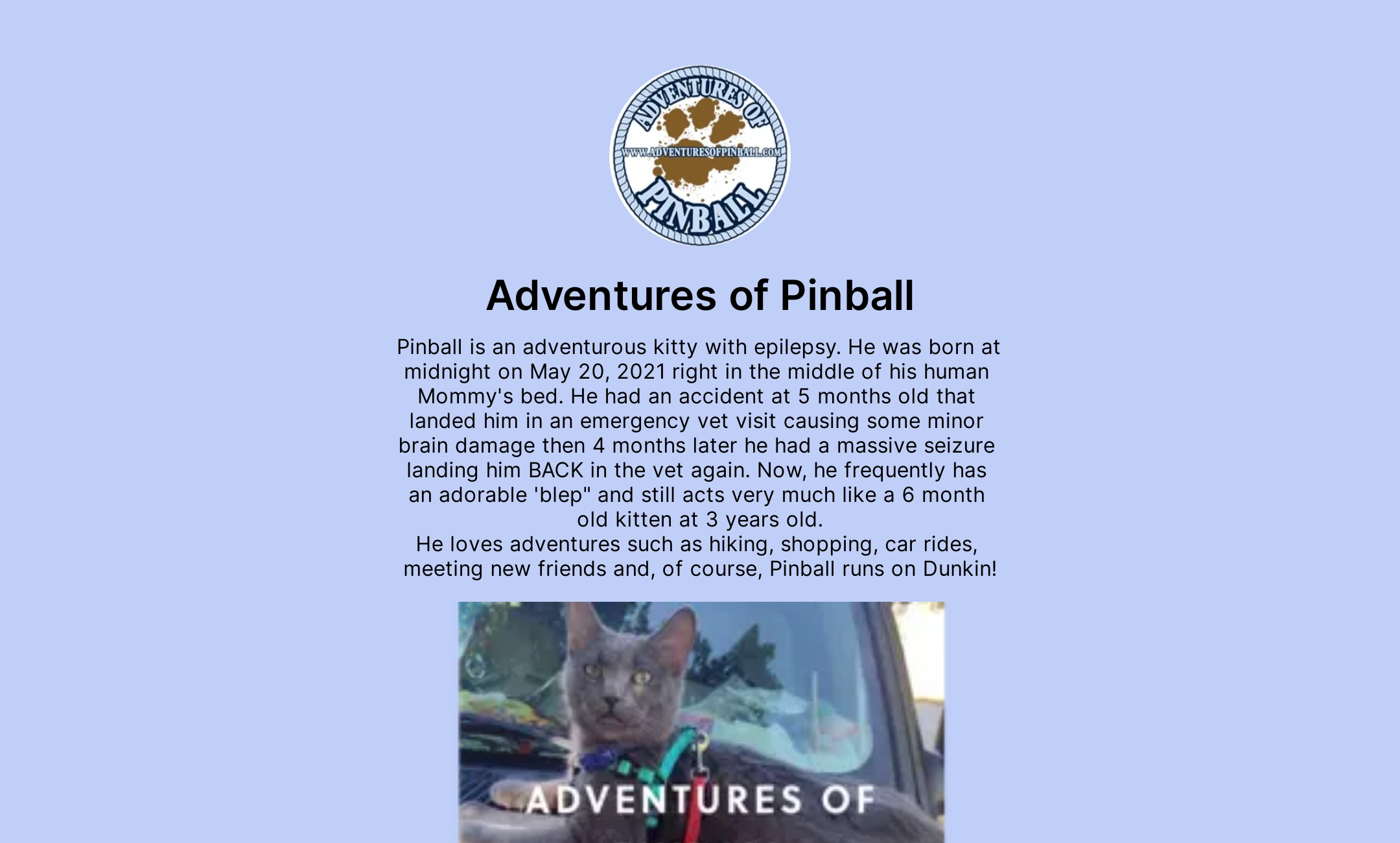 Adventures of Pinball