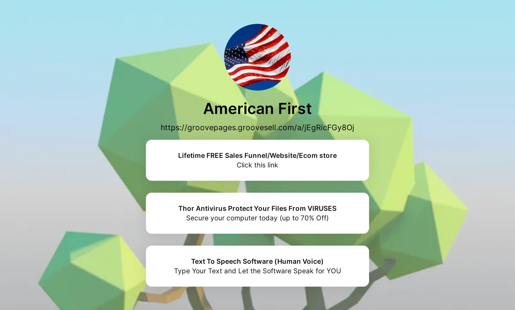 American First's Flowpage