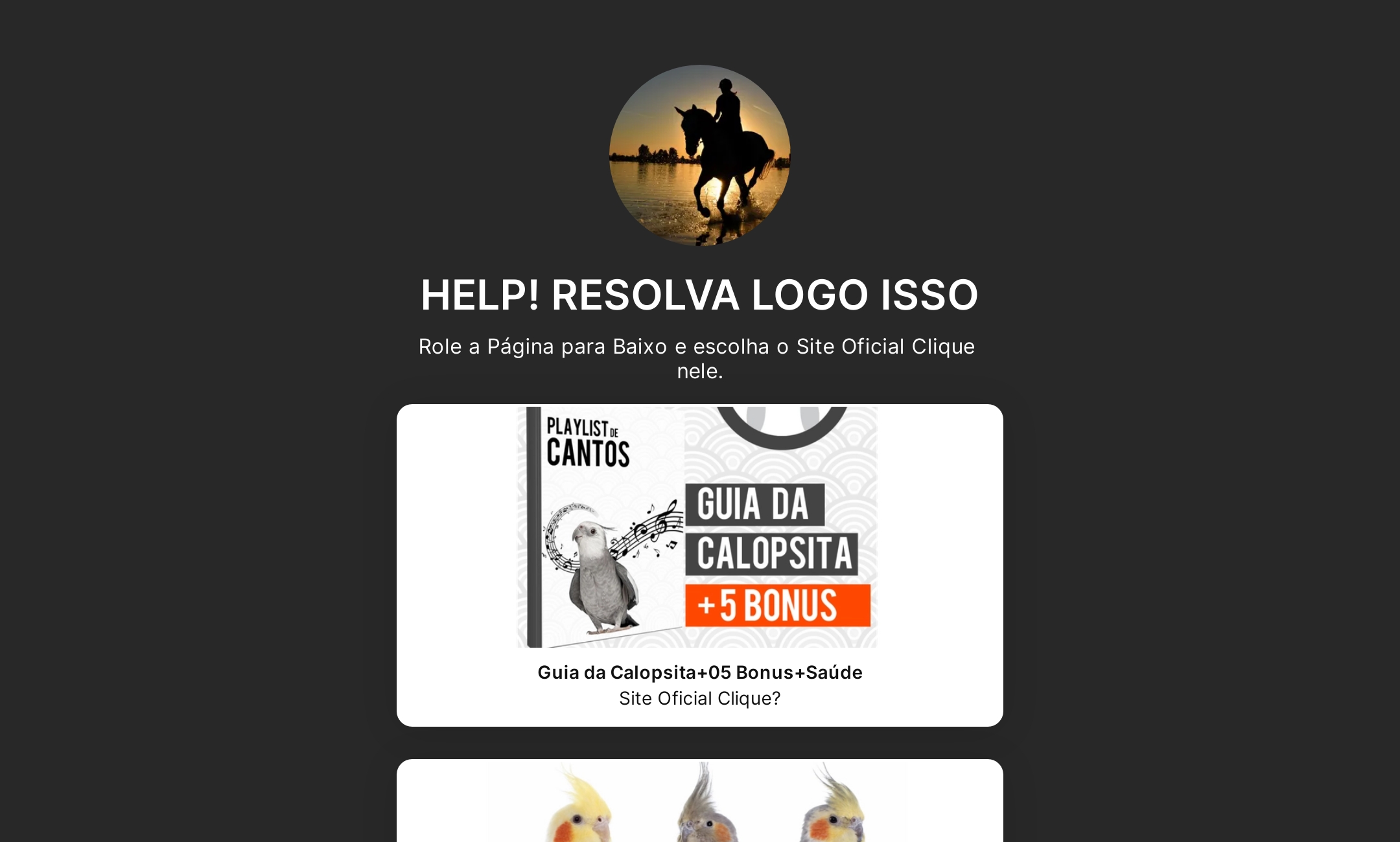 HELP! RESOLVA LOGO ISSO's Flowpage