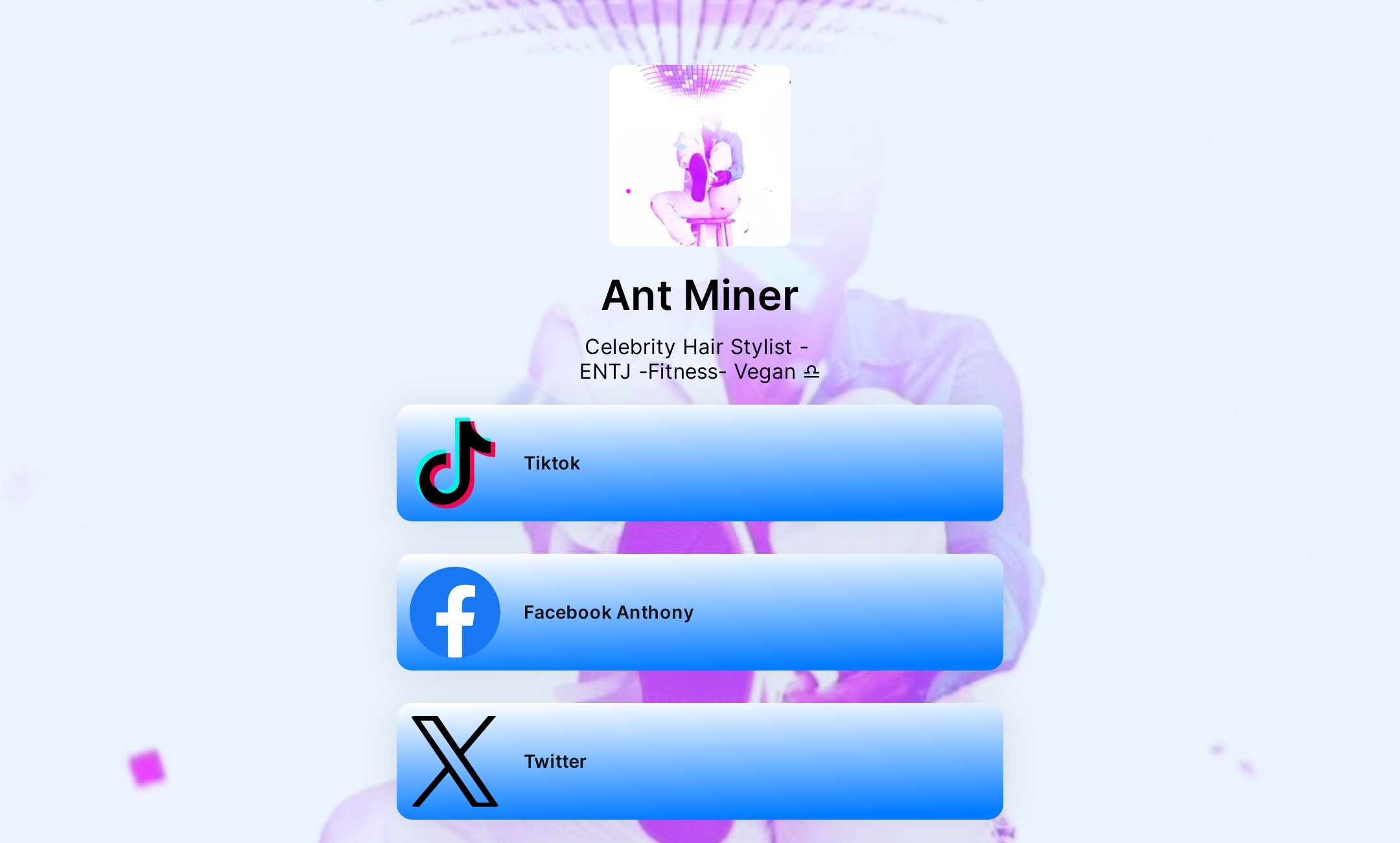 Ant Miner's Flowpage