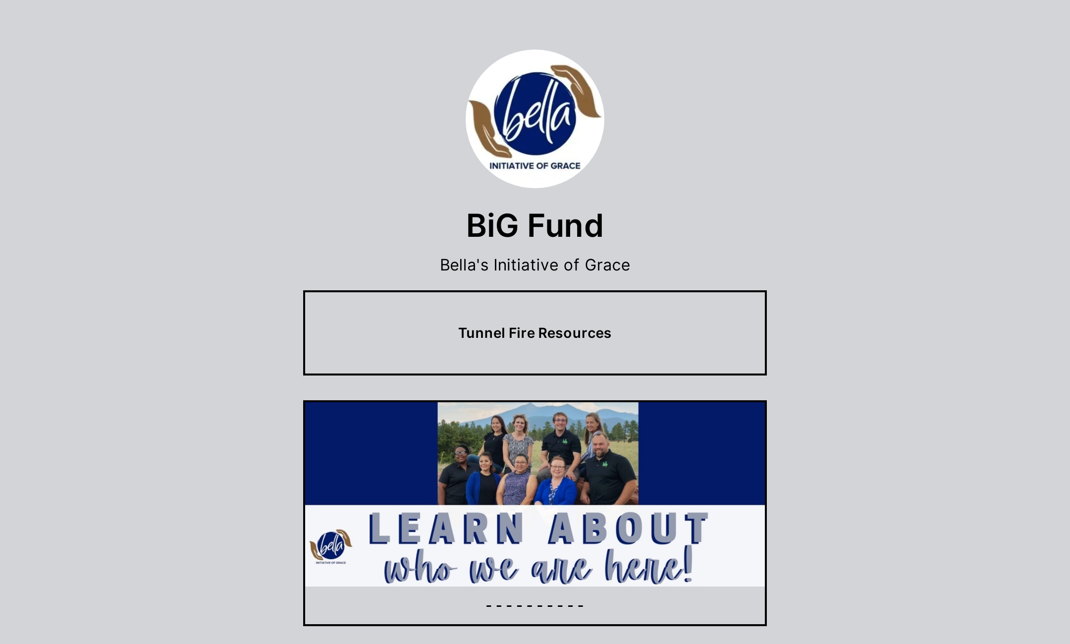 BiG Fund's Flowpage