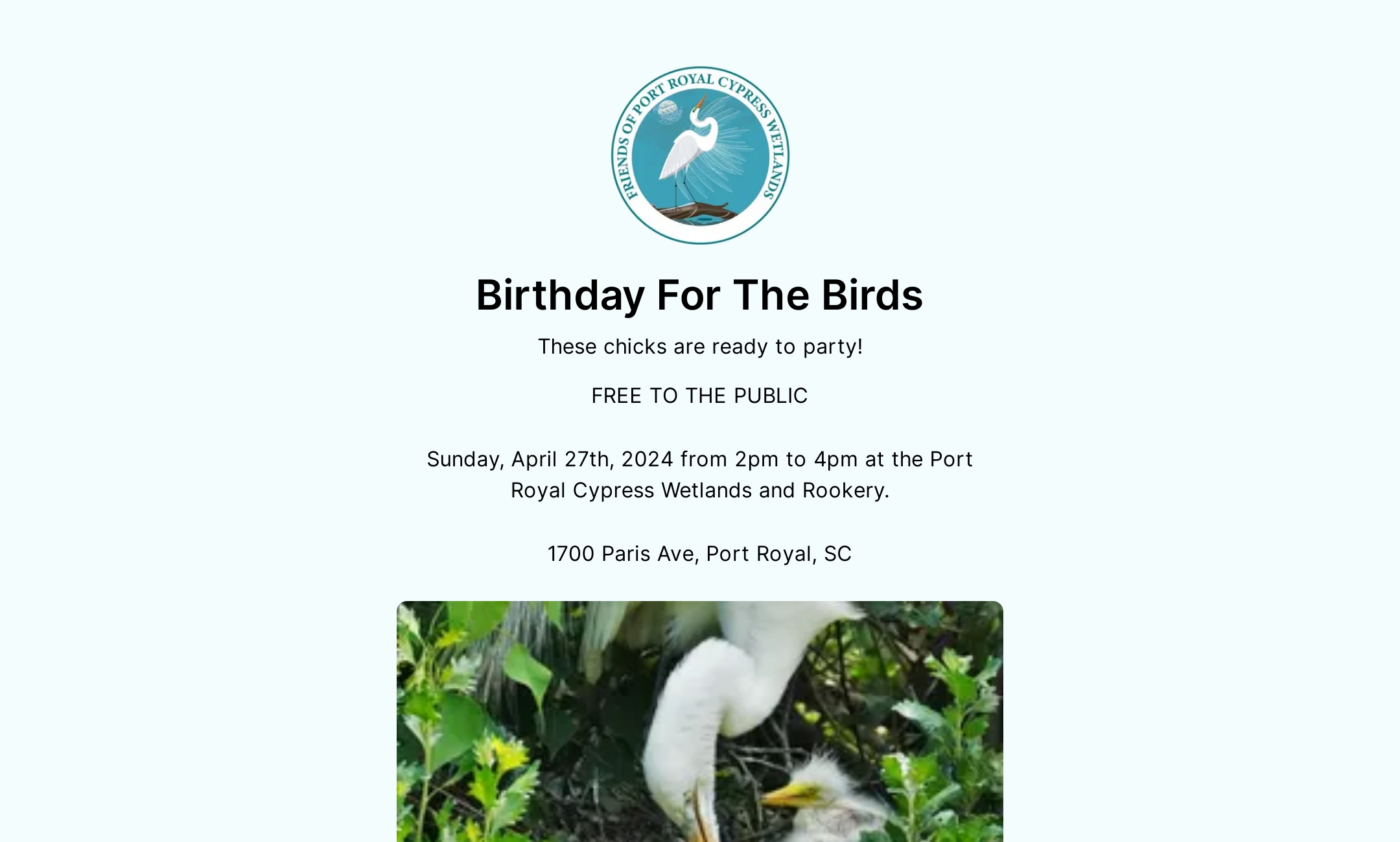 Birthday For The Birds' Flowpage