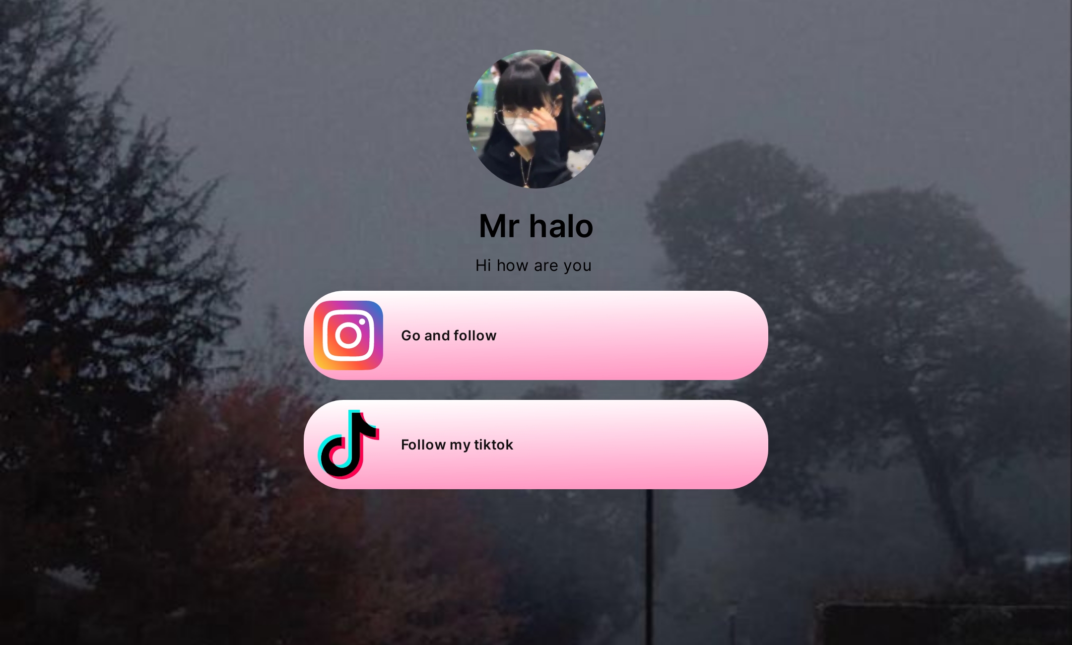 Mr halo's Flowpage