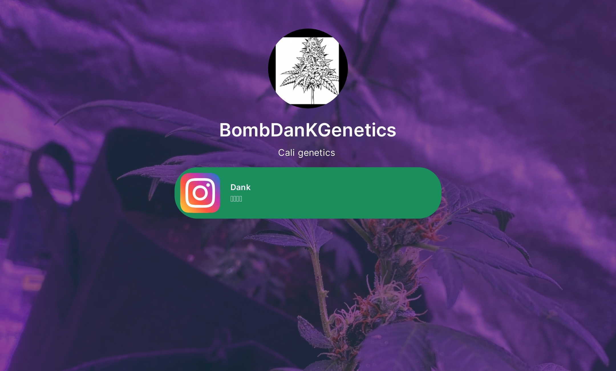 BombDanKGenetics 's Flowpage
