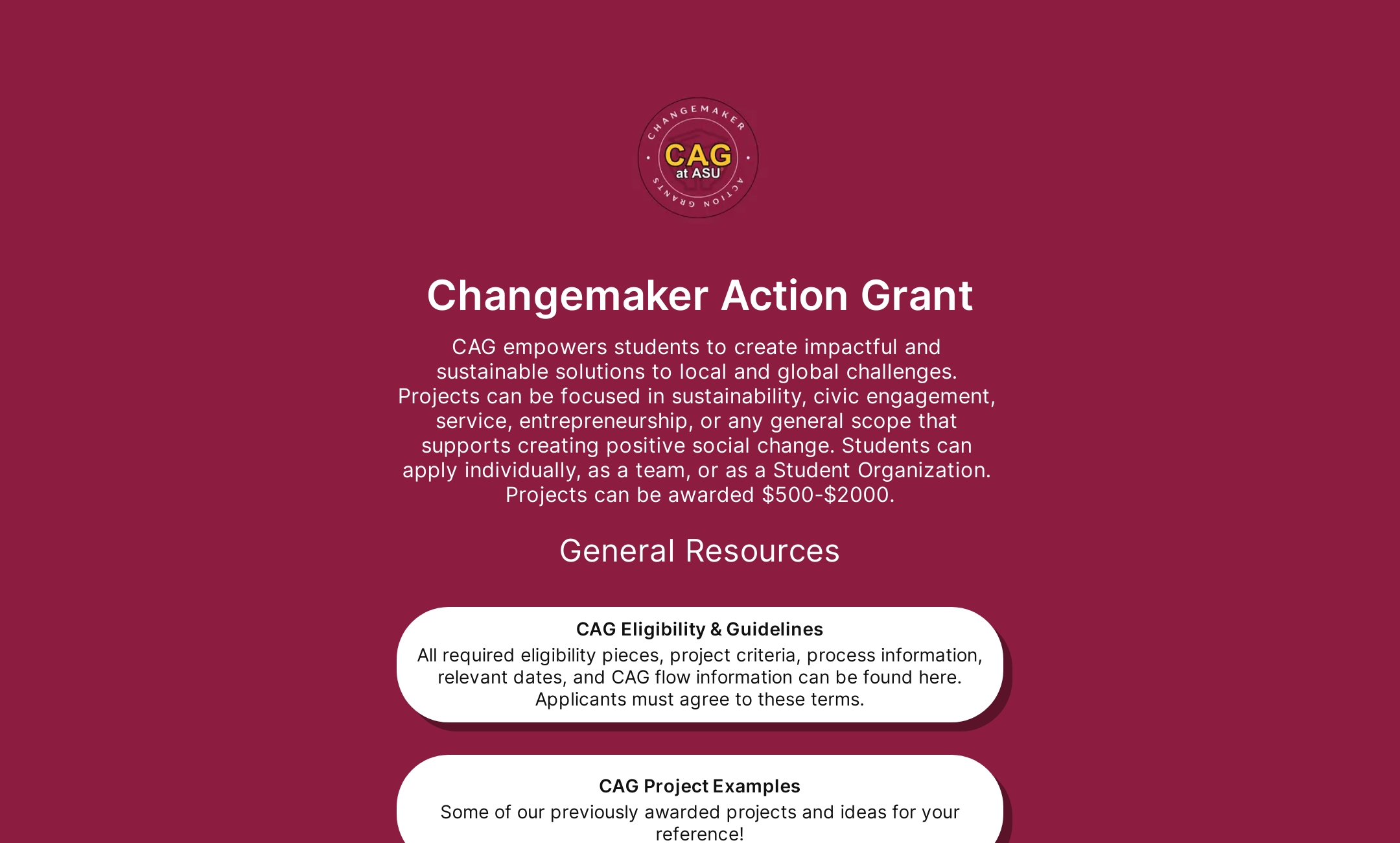 Changemaker Action Grant's Flowpage