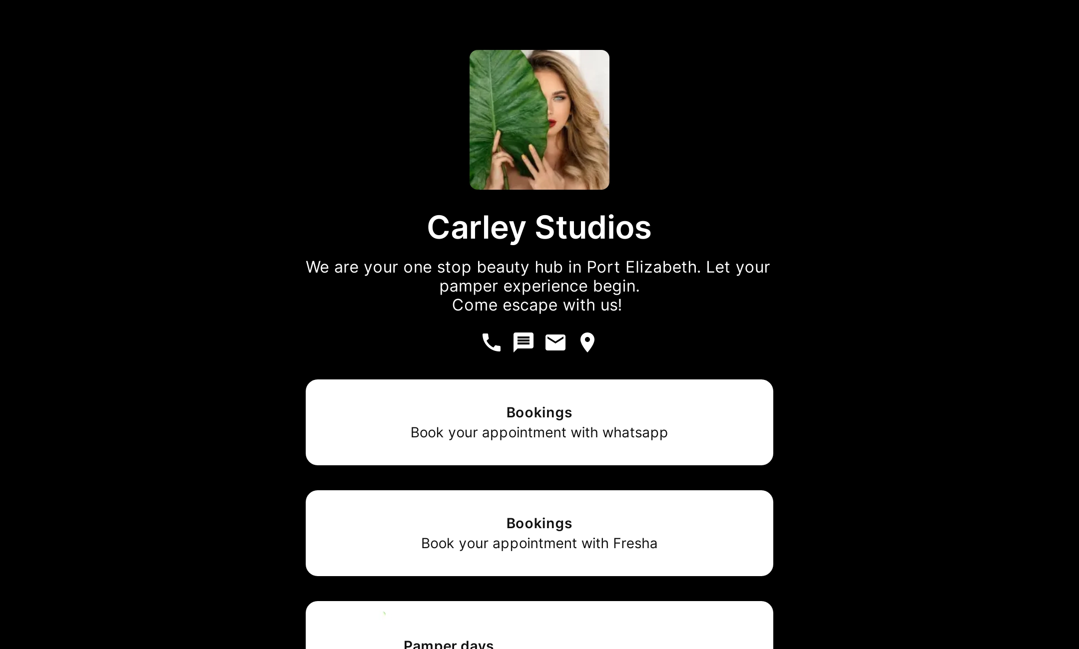 Carley Studios 's Flowpage