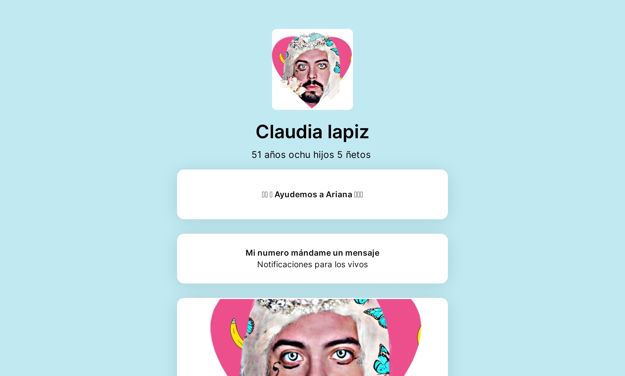 Claudia lapiz's Flowpage
