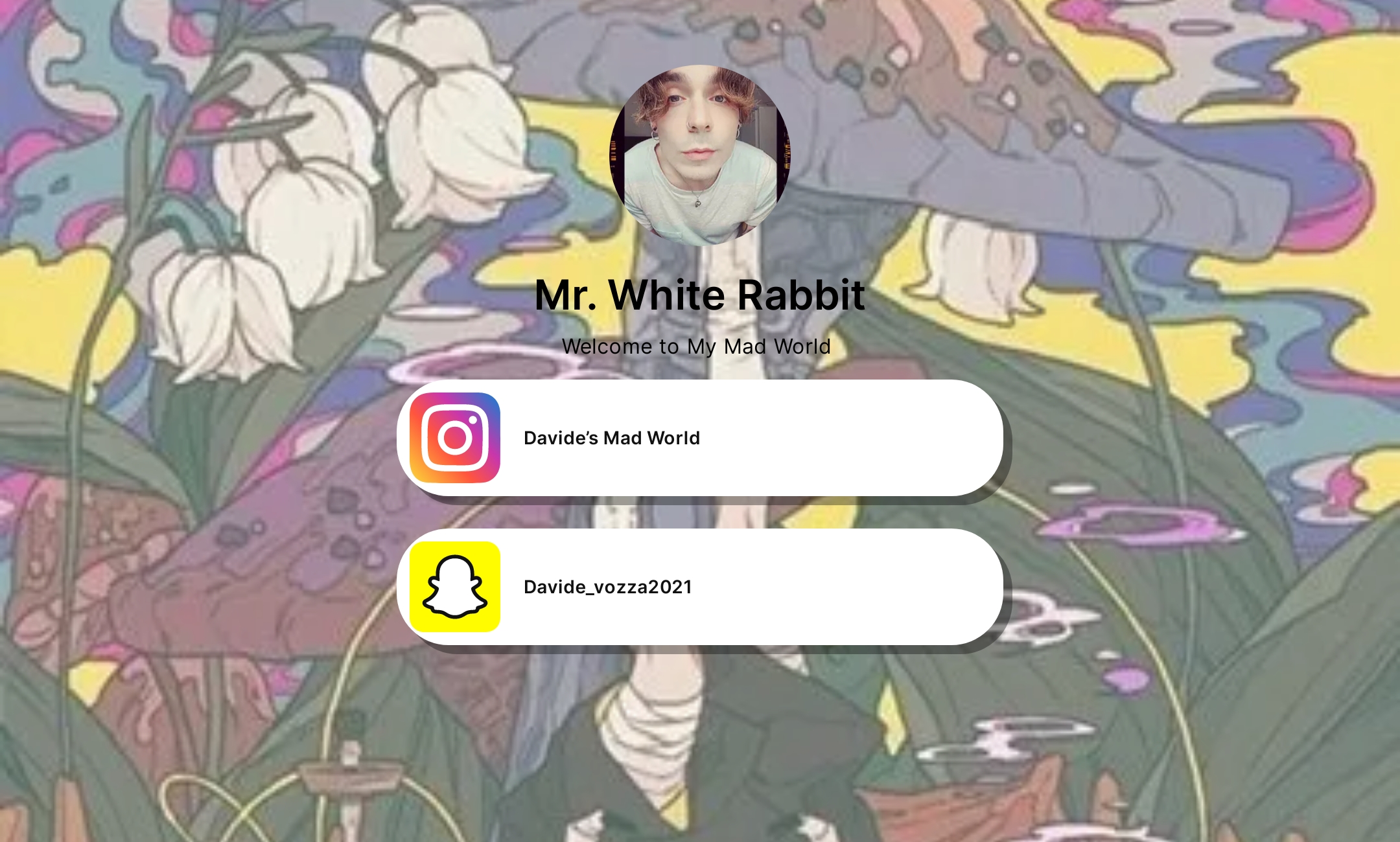 Mr. White Rabbit 's Flowpage
