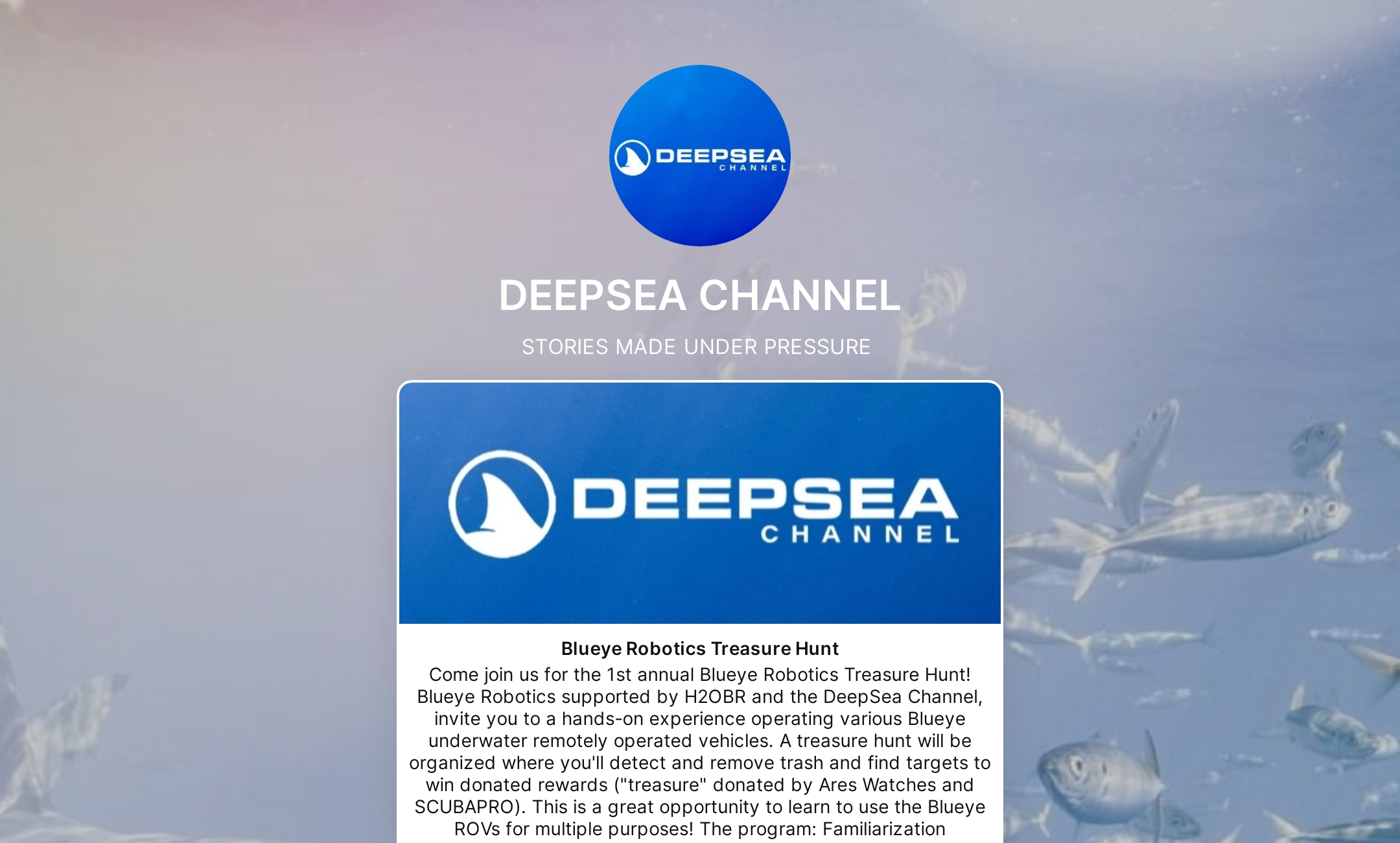 DEEPSEA CHANNEL's Flowpage