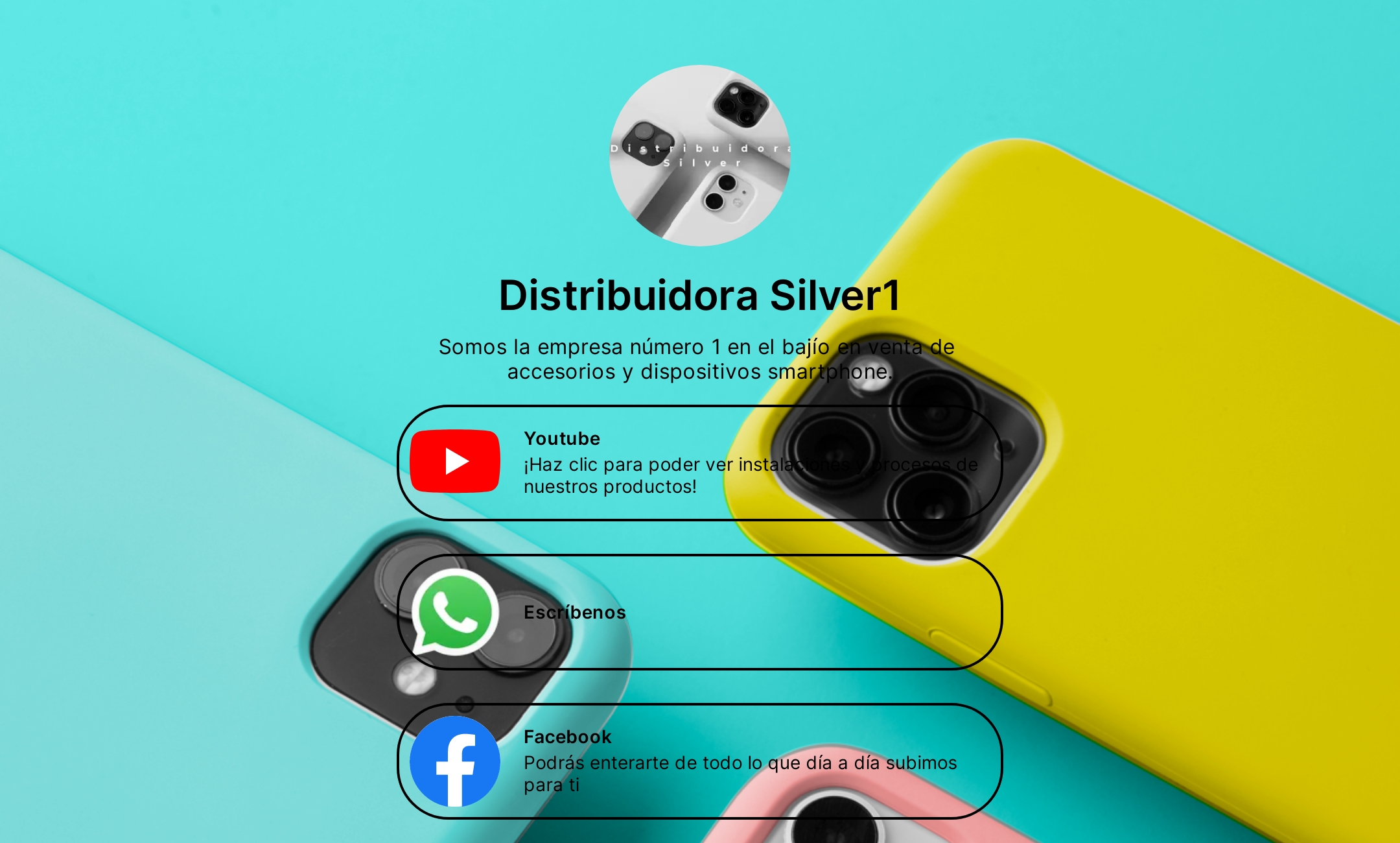 Distribuidora_Silver.Pro