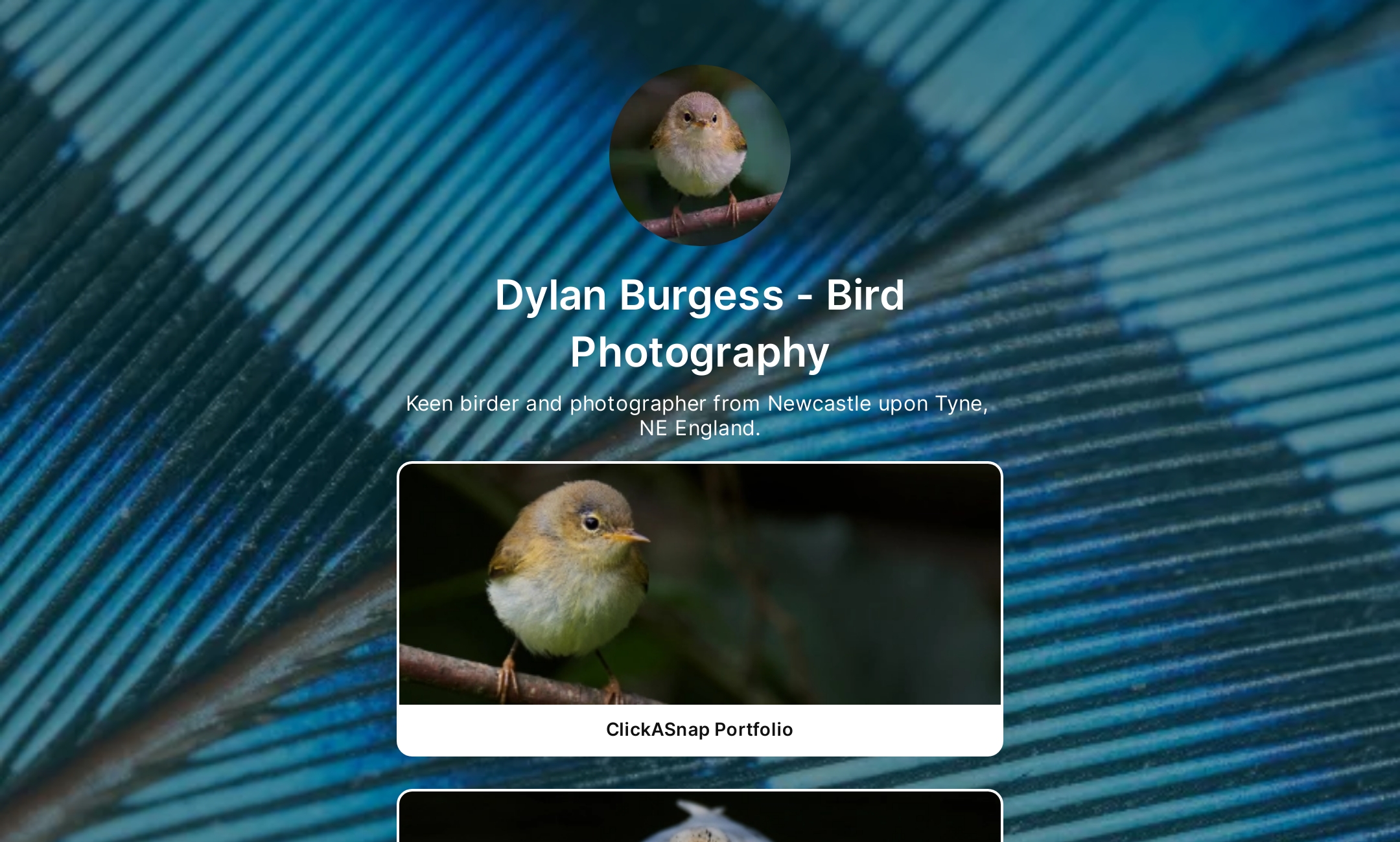 Dylan Burgess - Bird Photography's Flowpage