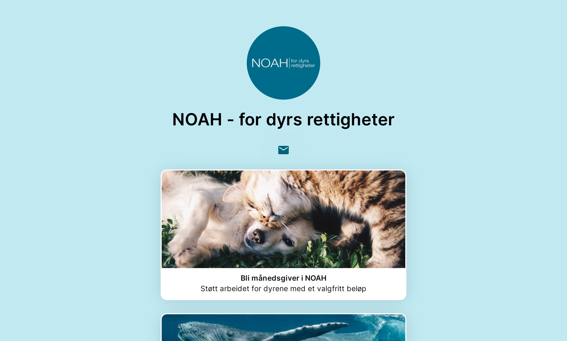 NOAH - for dyrs rettigheter's Flowpage