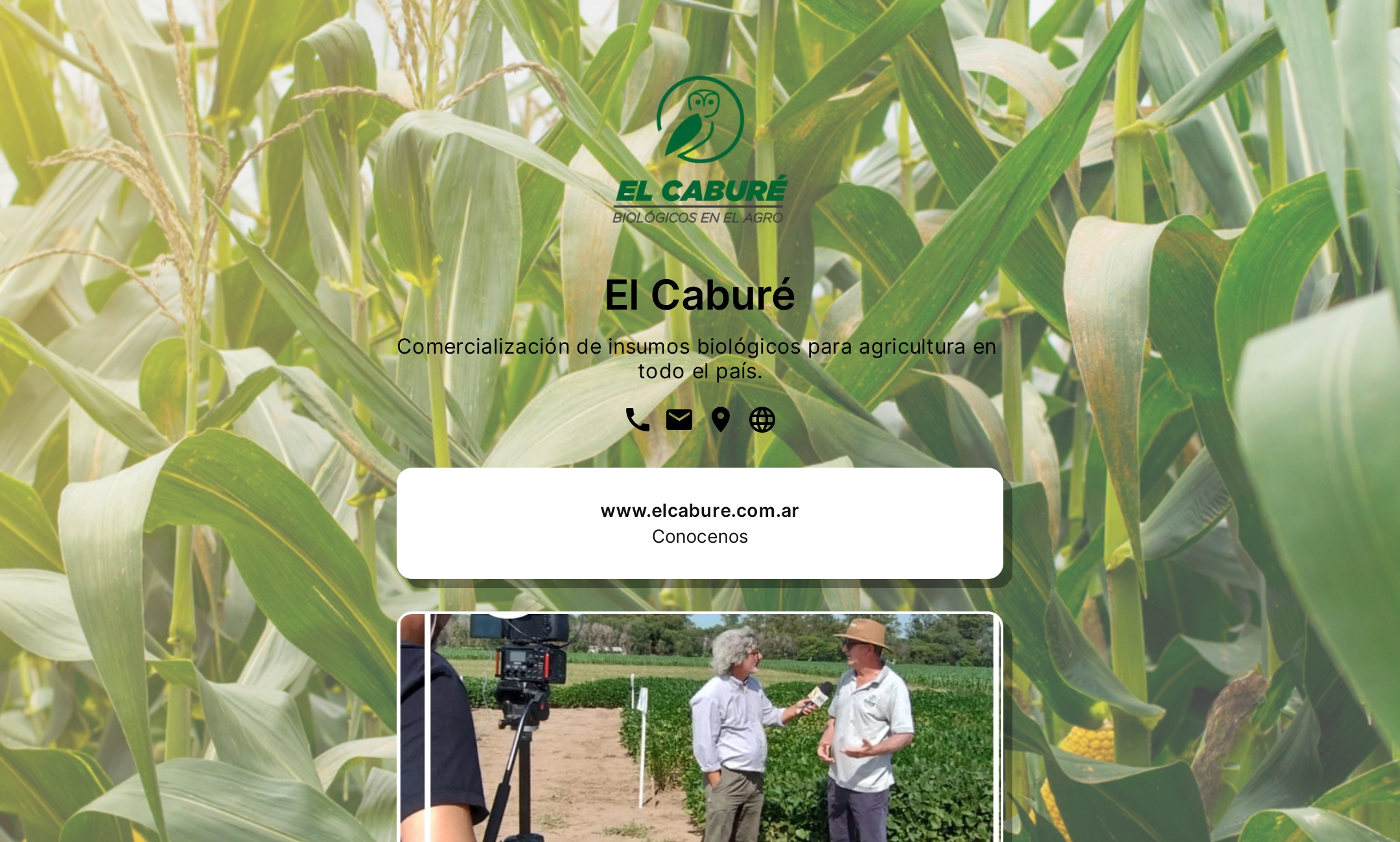 El Caburé's Flowpage