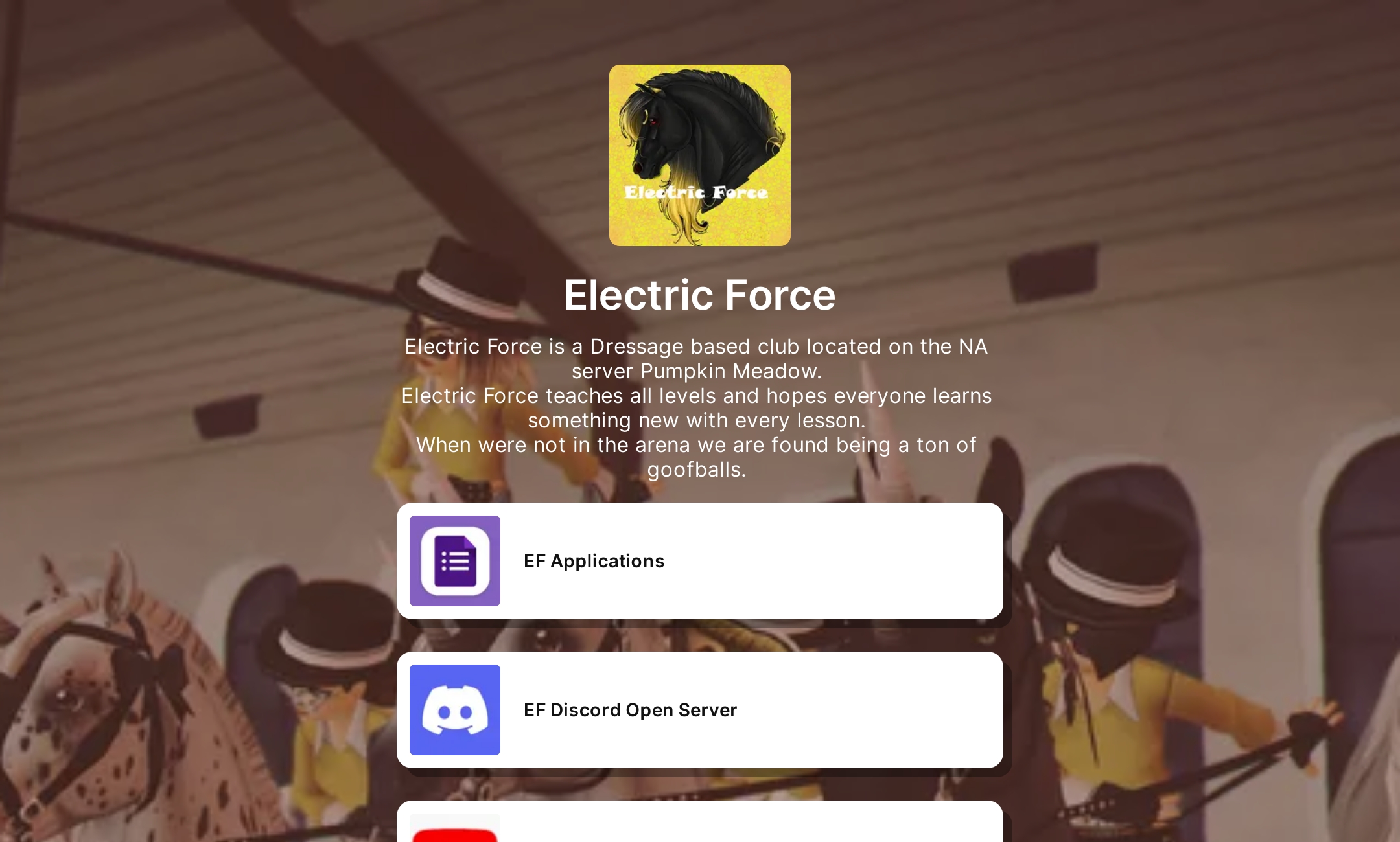 Electric Force 's Flowpage