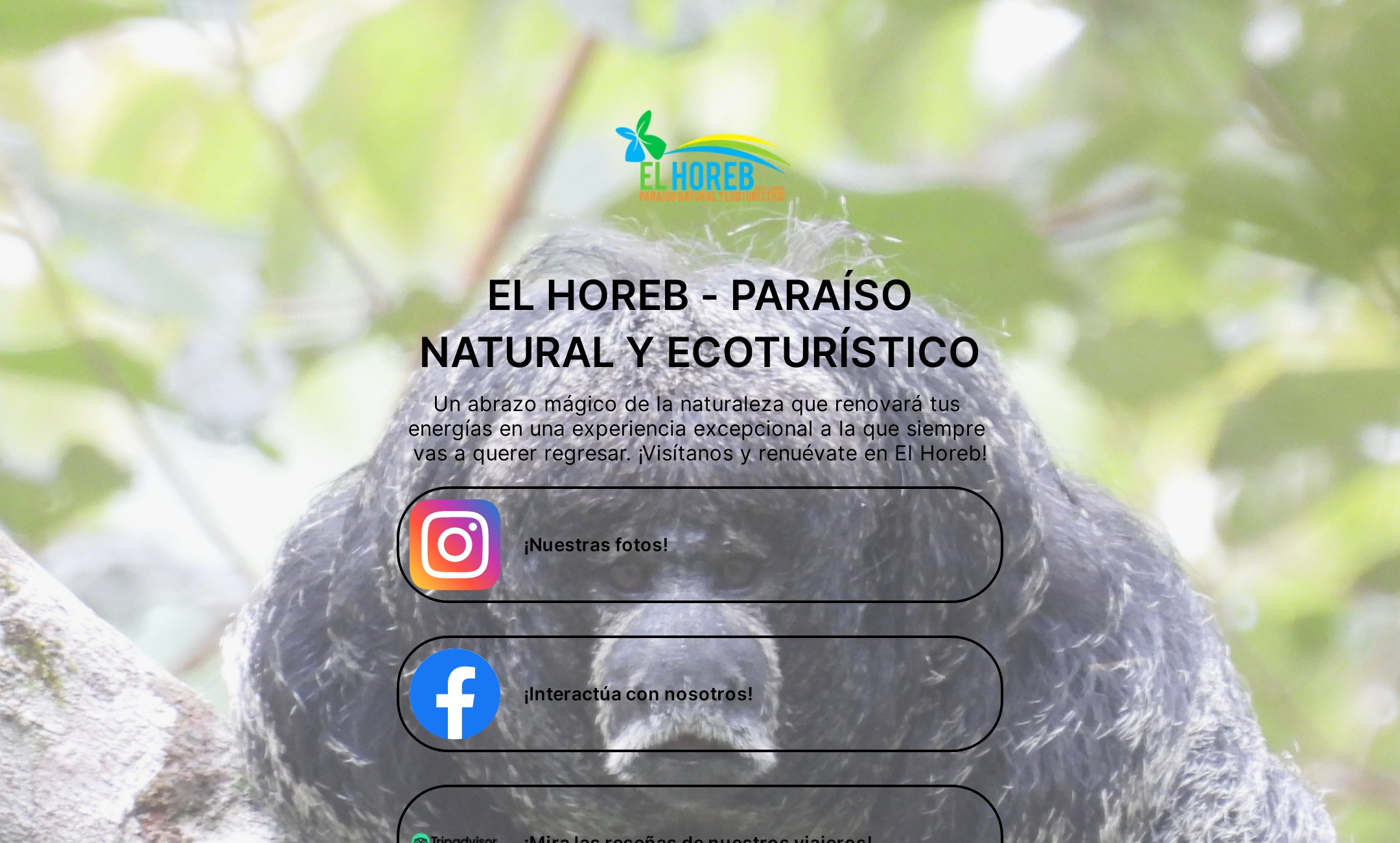 EL HOREB - PARAÍSO NATURAL Y ECOTURÍSTICO's Flowpage