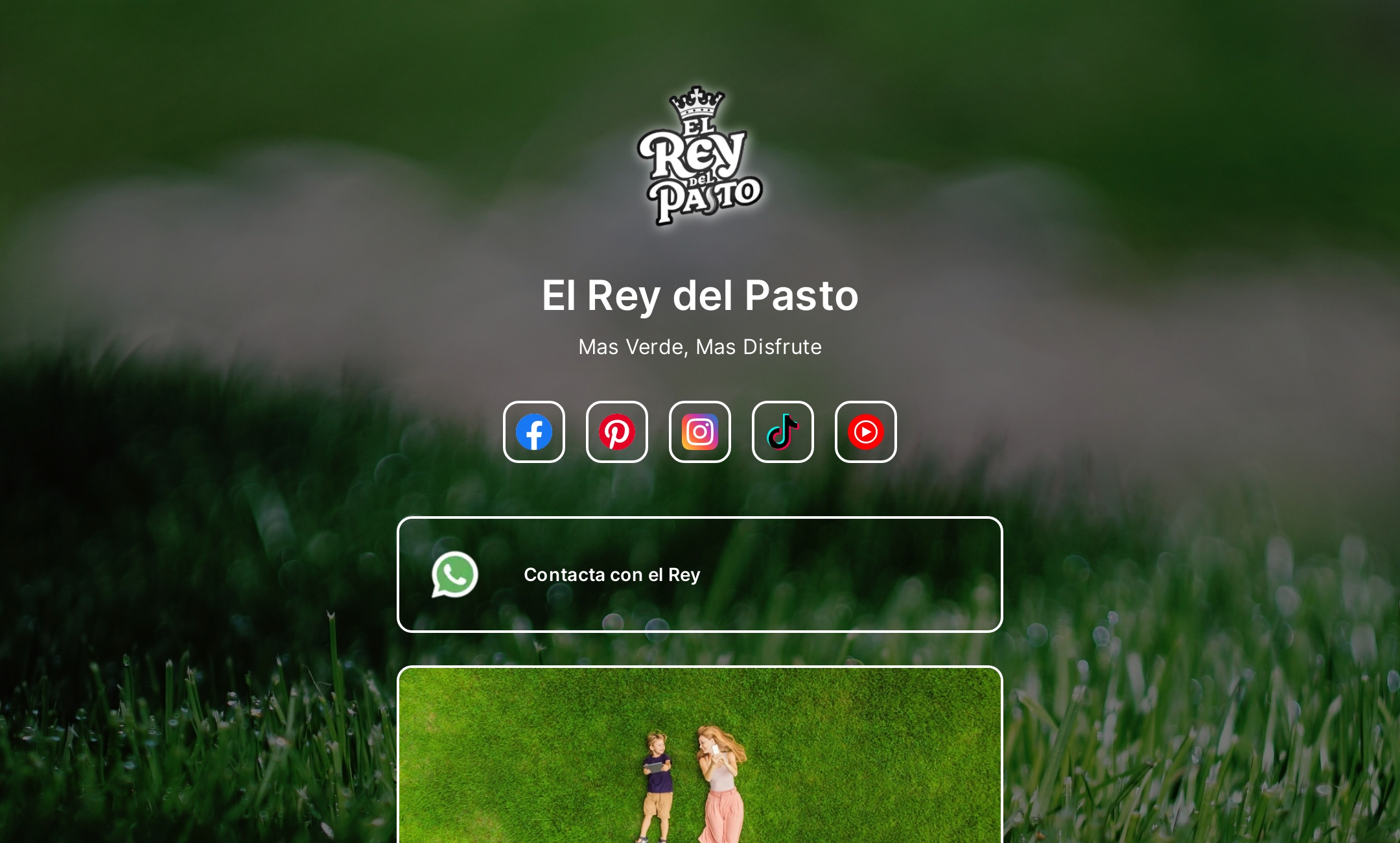 El Rey del Pasto's Flowpage