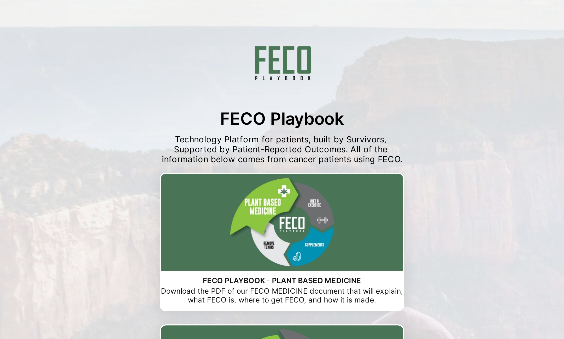 FECO Playbook's Flowpage
