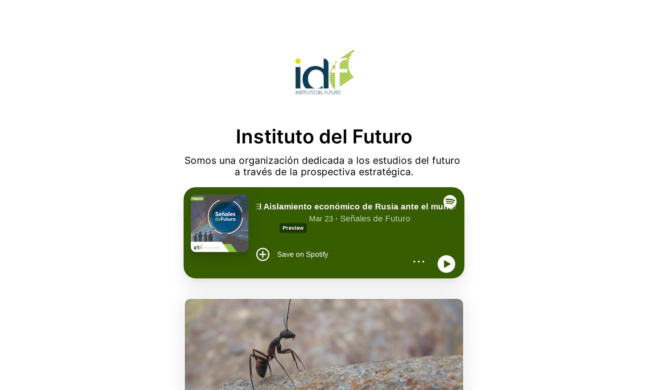 Instituto del Futuro's Flowpage
