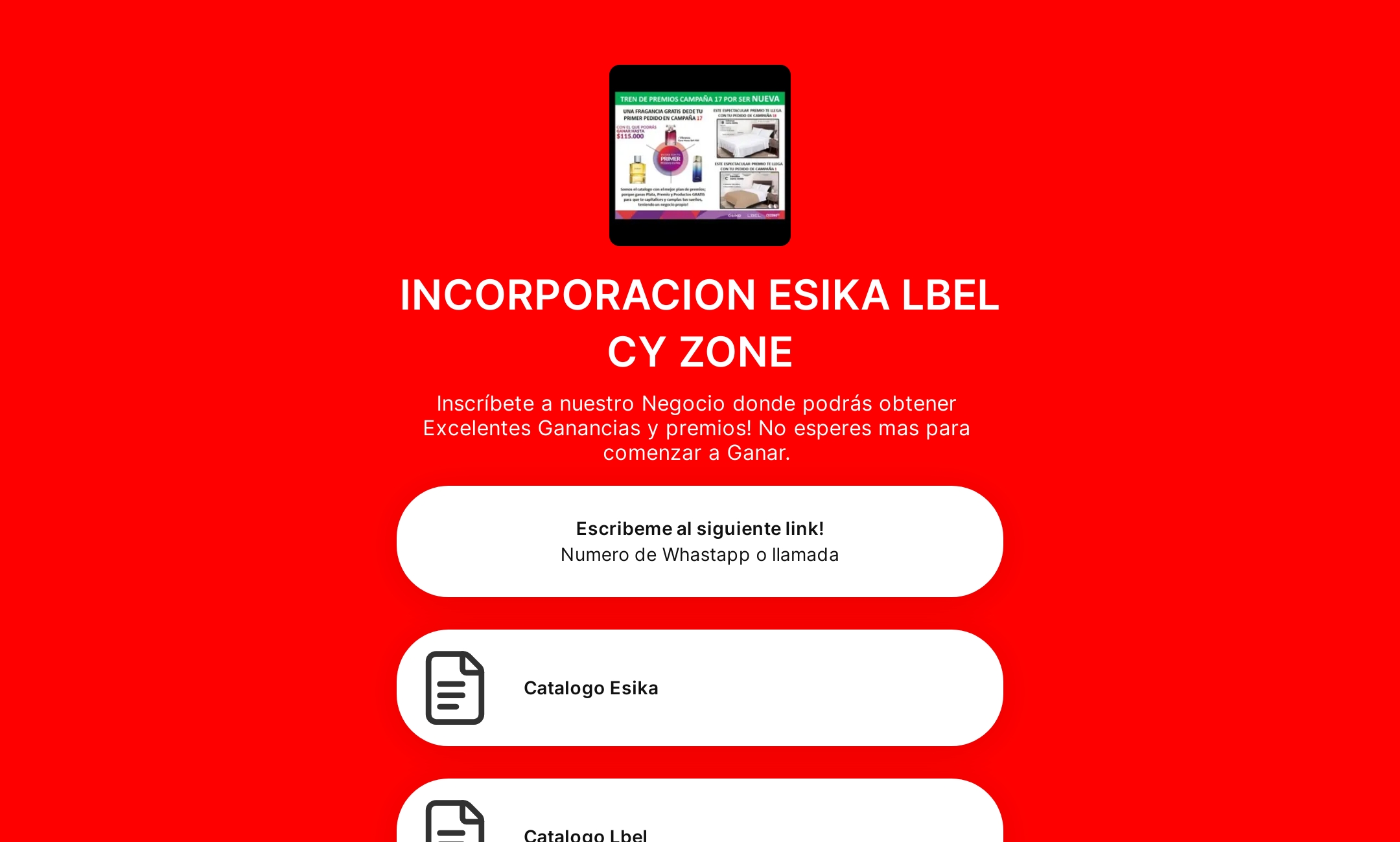 INCORPORACION ESIKA LBEL CY ZONE 's Flowpage