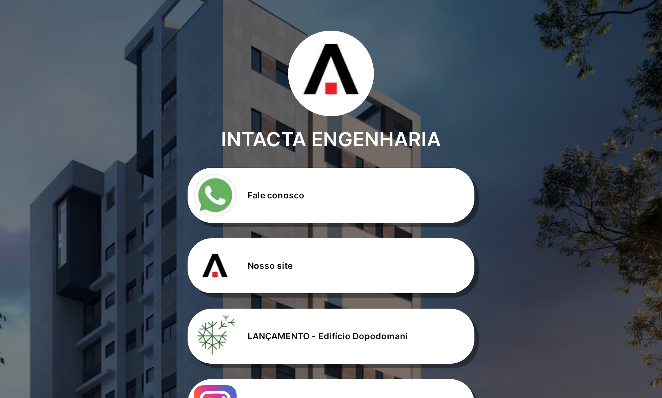 INTACTA ENGENHARIA's Flowpage