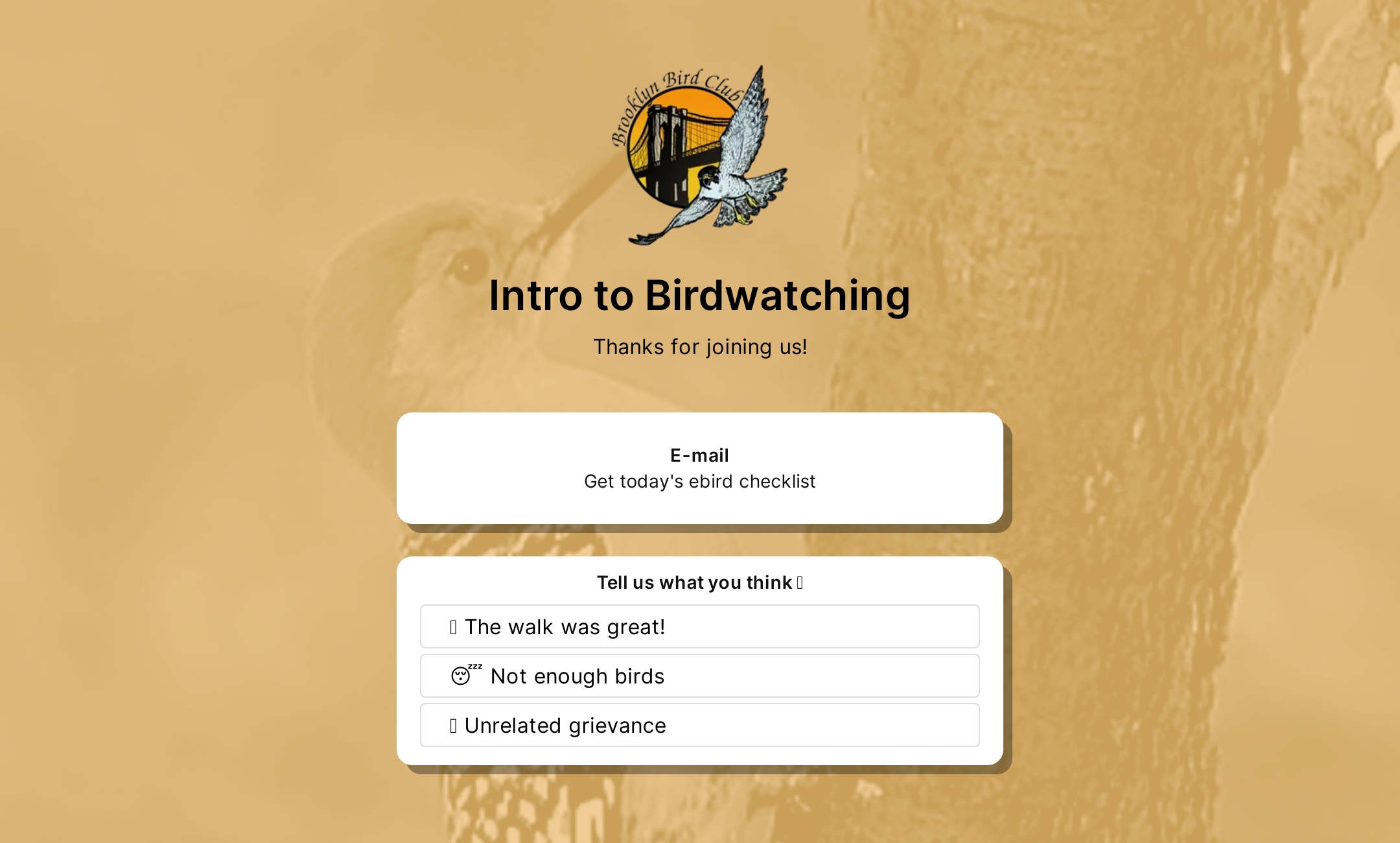 Intro To Birdwatching S Flowpage