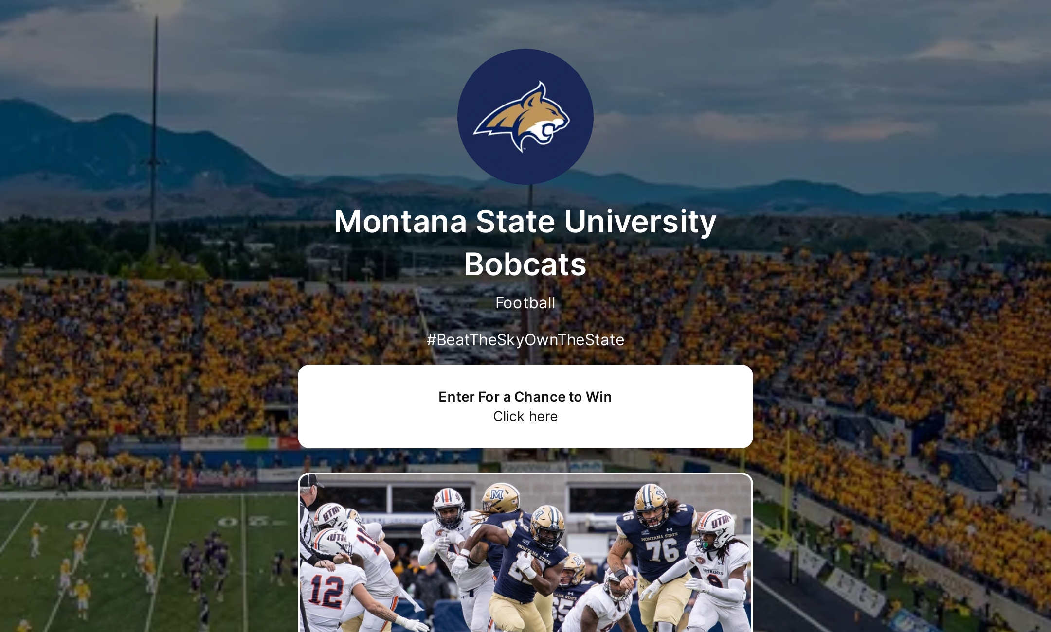 Montana State University Bobcats' Flowpage