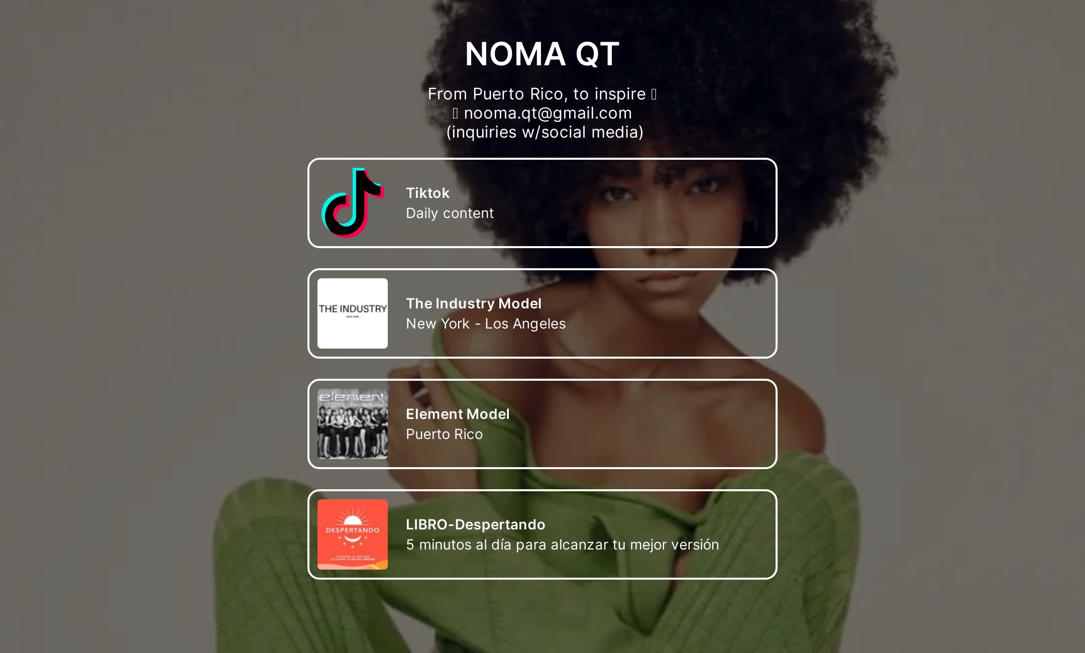 NOMA QT's Flowpage