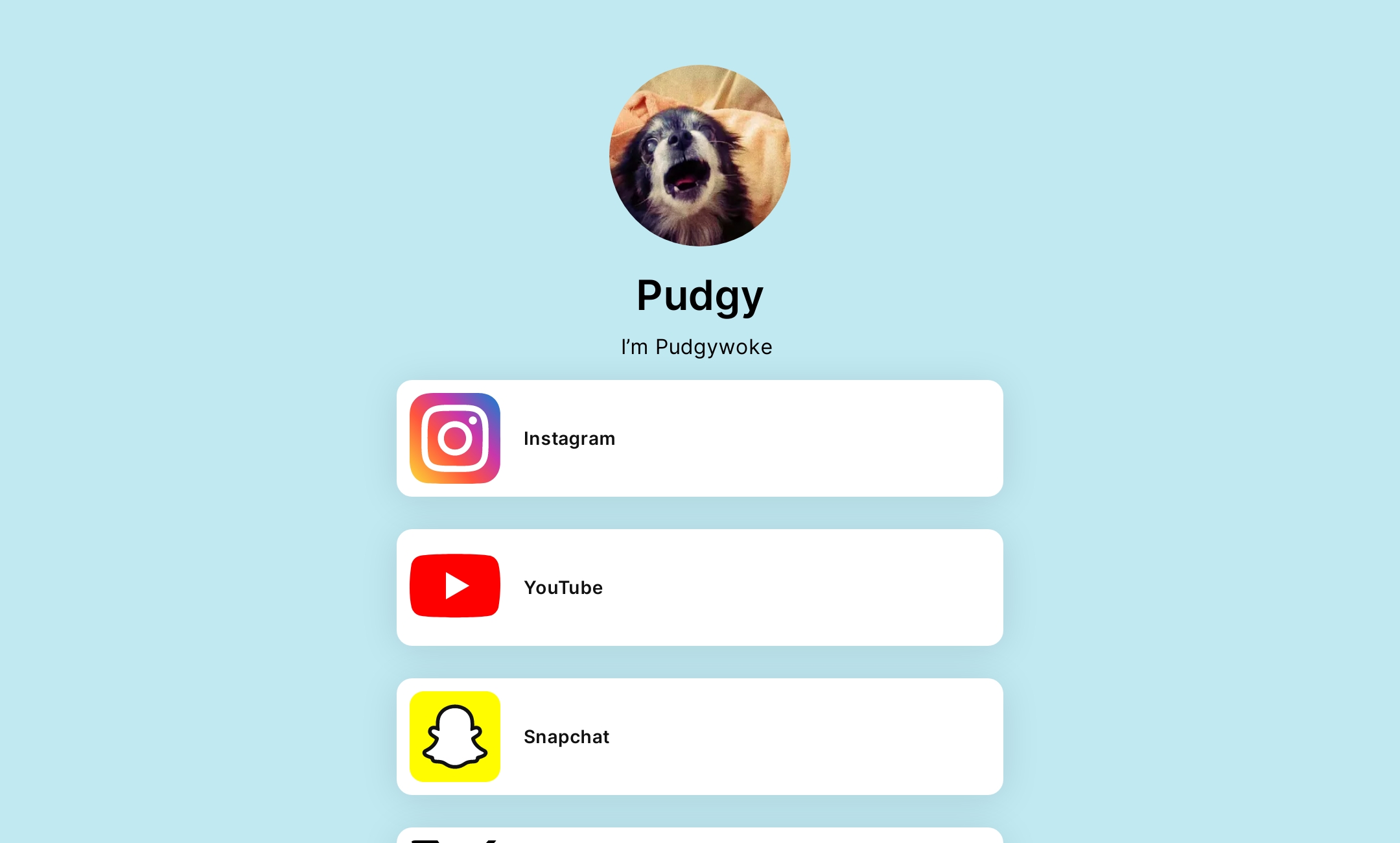 Pudgy's Flowpage