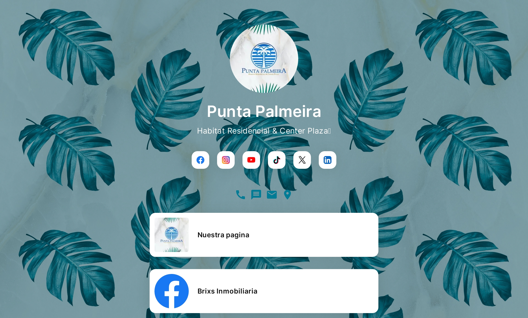 Punta Palmeira's Flowpage