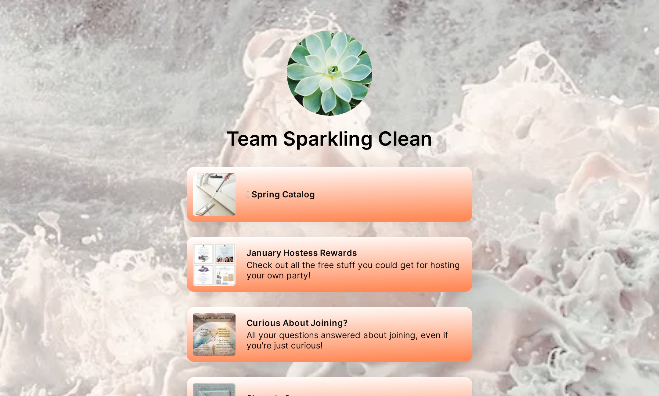 Team Sparkling Clean's Flowpage