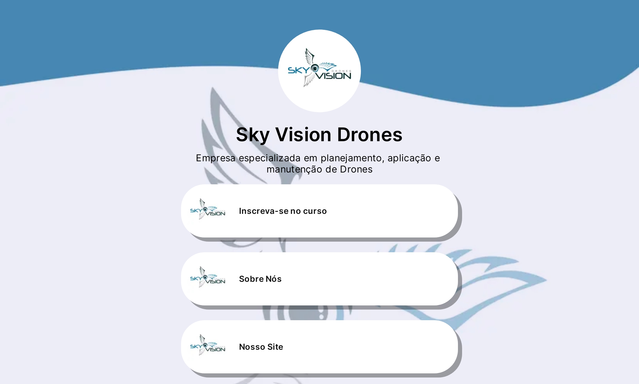 Sky Vision Drones' Flowpage