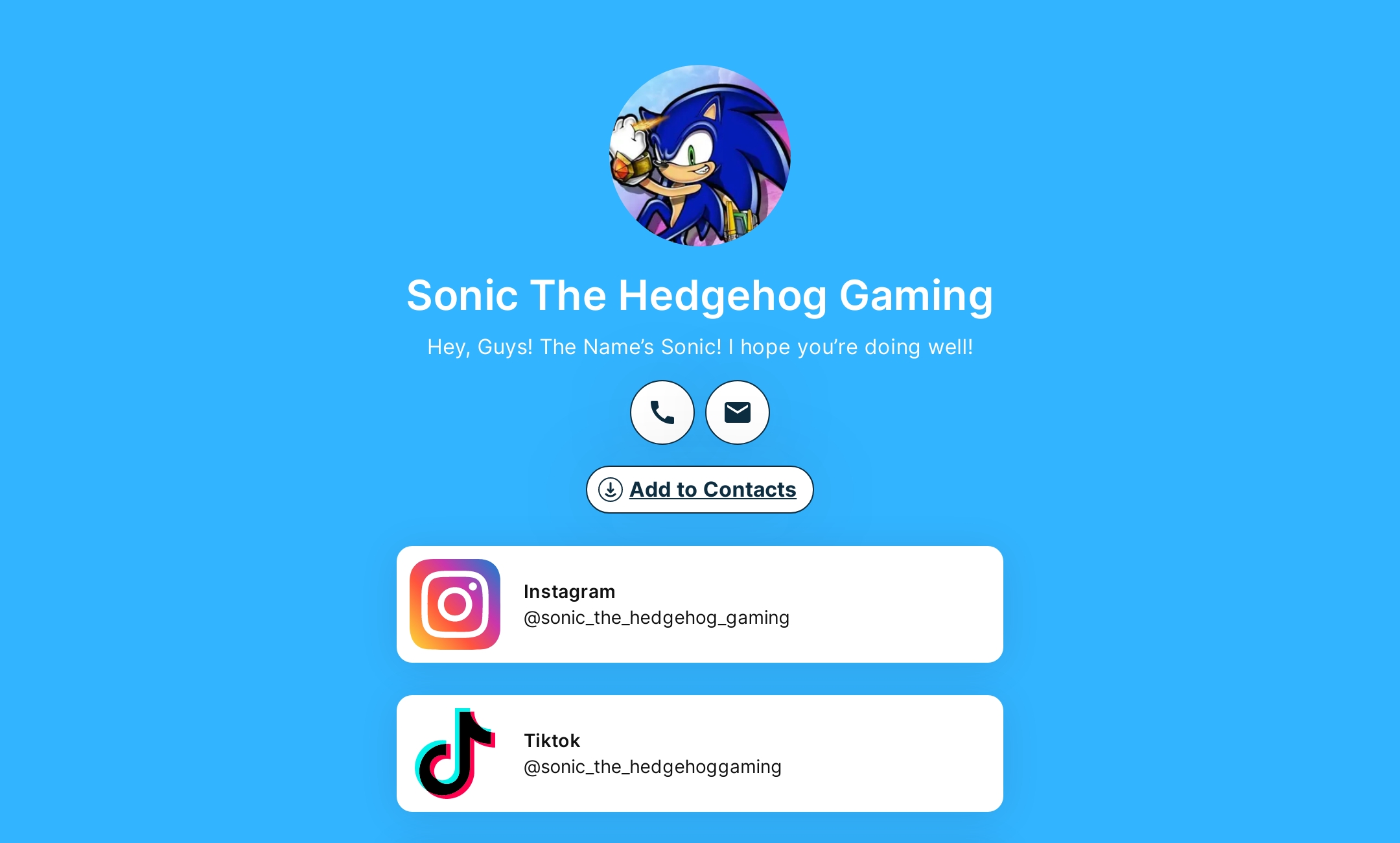 Sonic The Hedgehog Gaming 's Flowpage