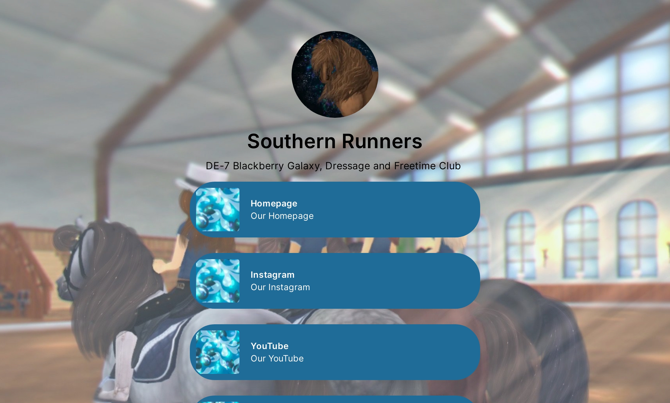 Southern Runners 's Flowpage