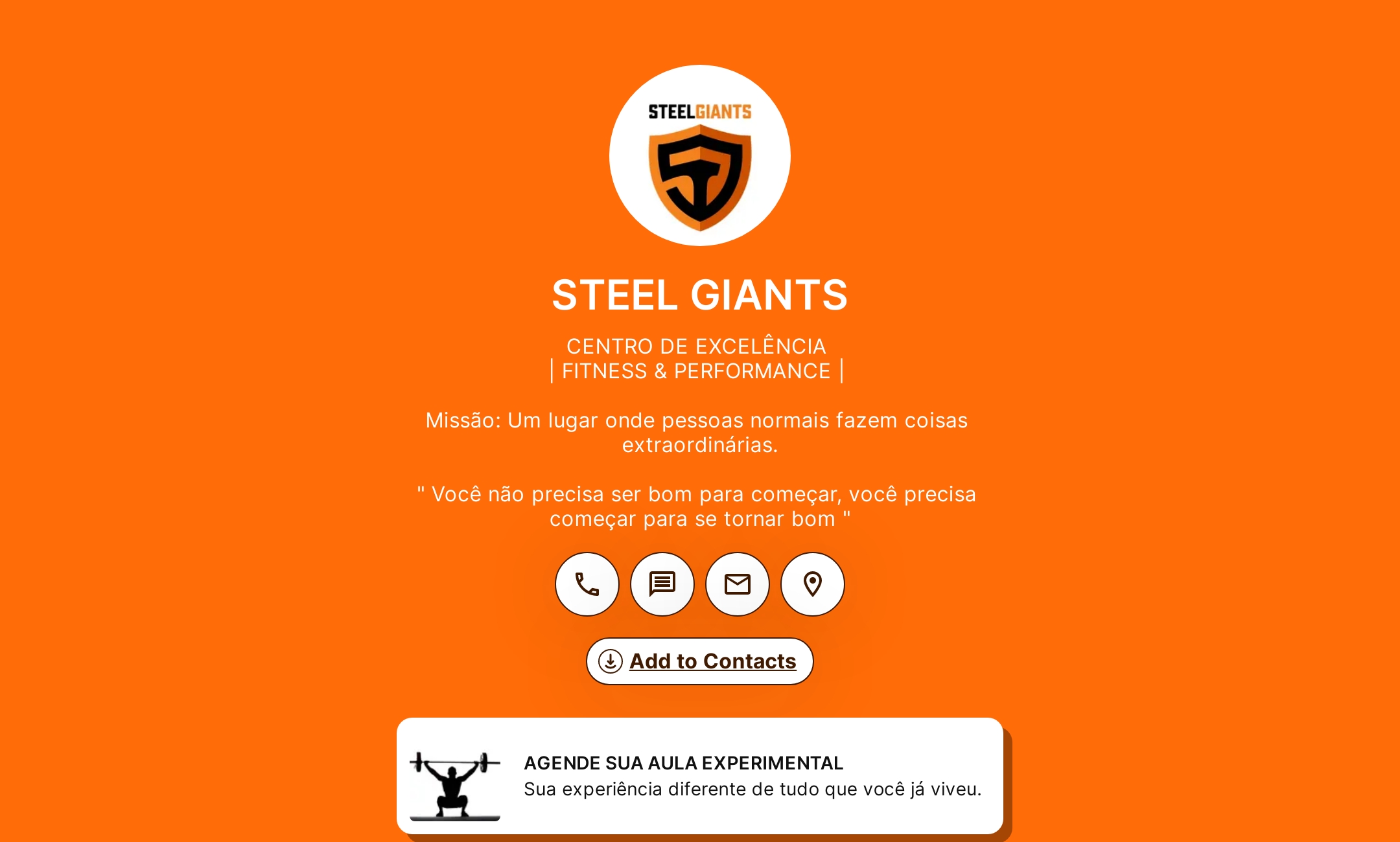 STEEL GIANTS 's Flowpage