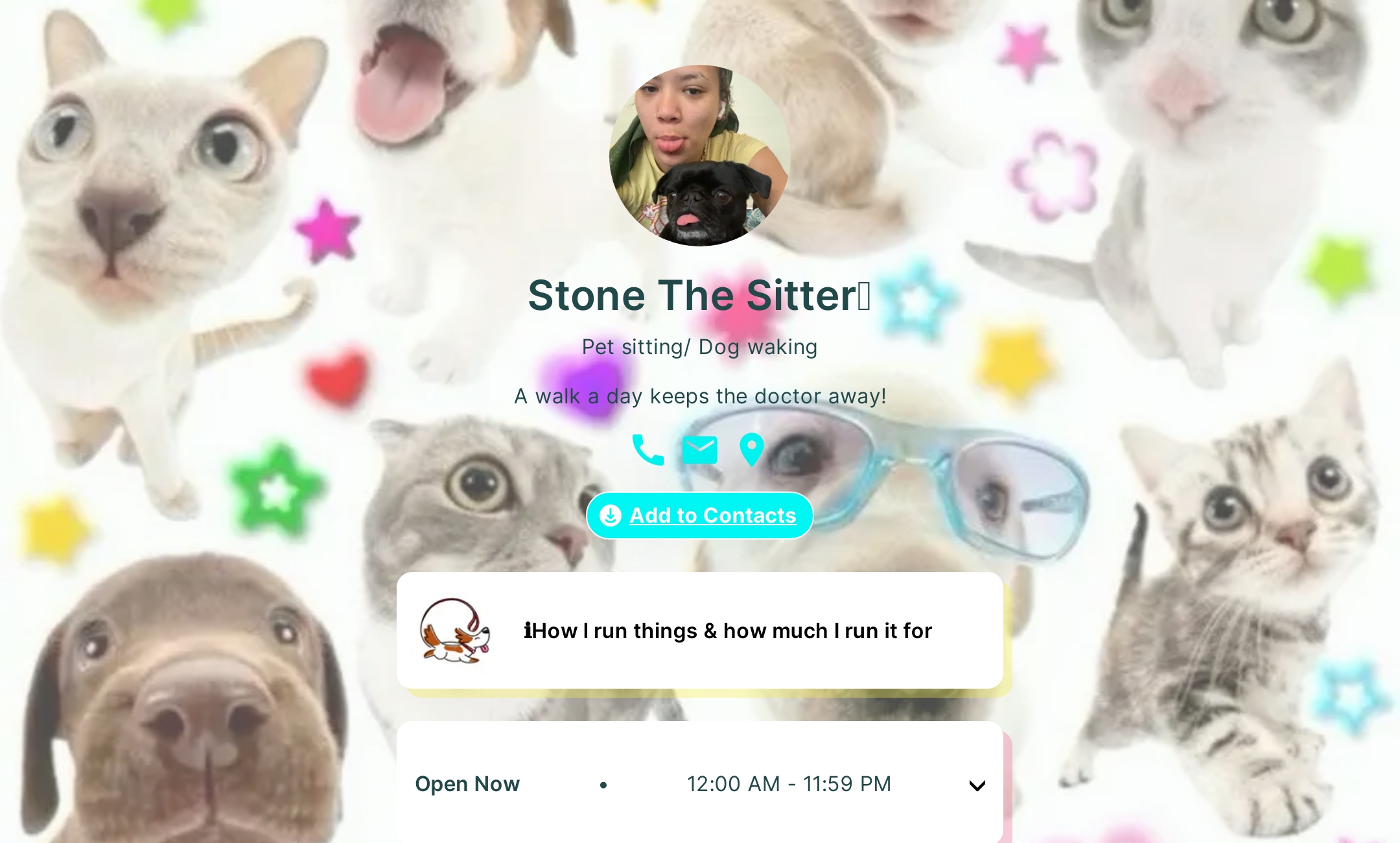Stone The Sitter🐾's Flowpage