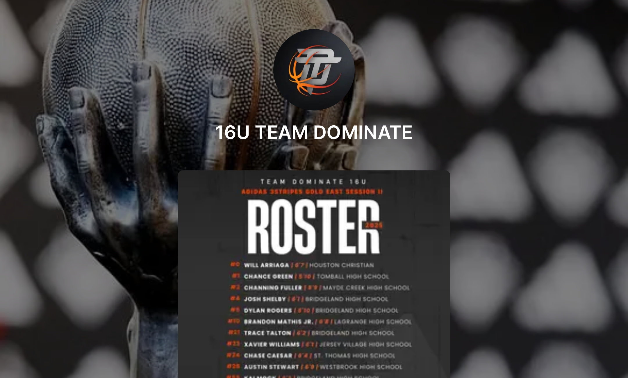 16U TEAM DOMINATE's Flowpage