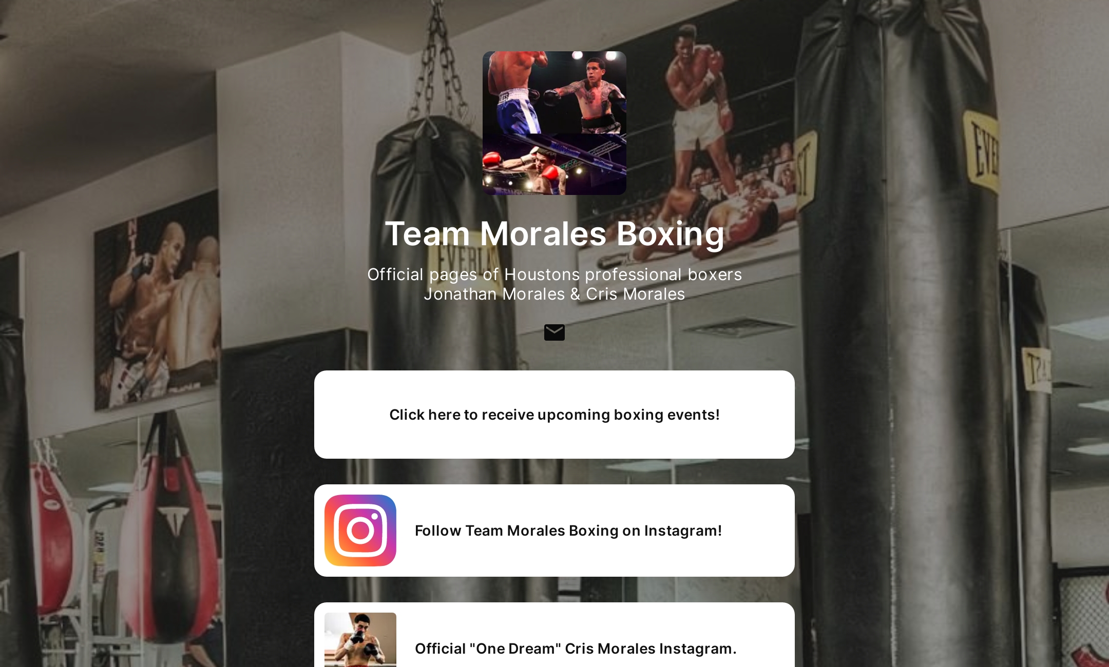 Team Morales Boxing's Flowpage