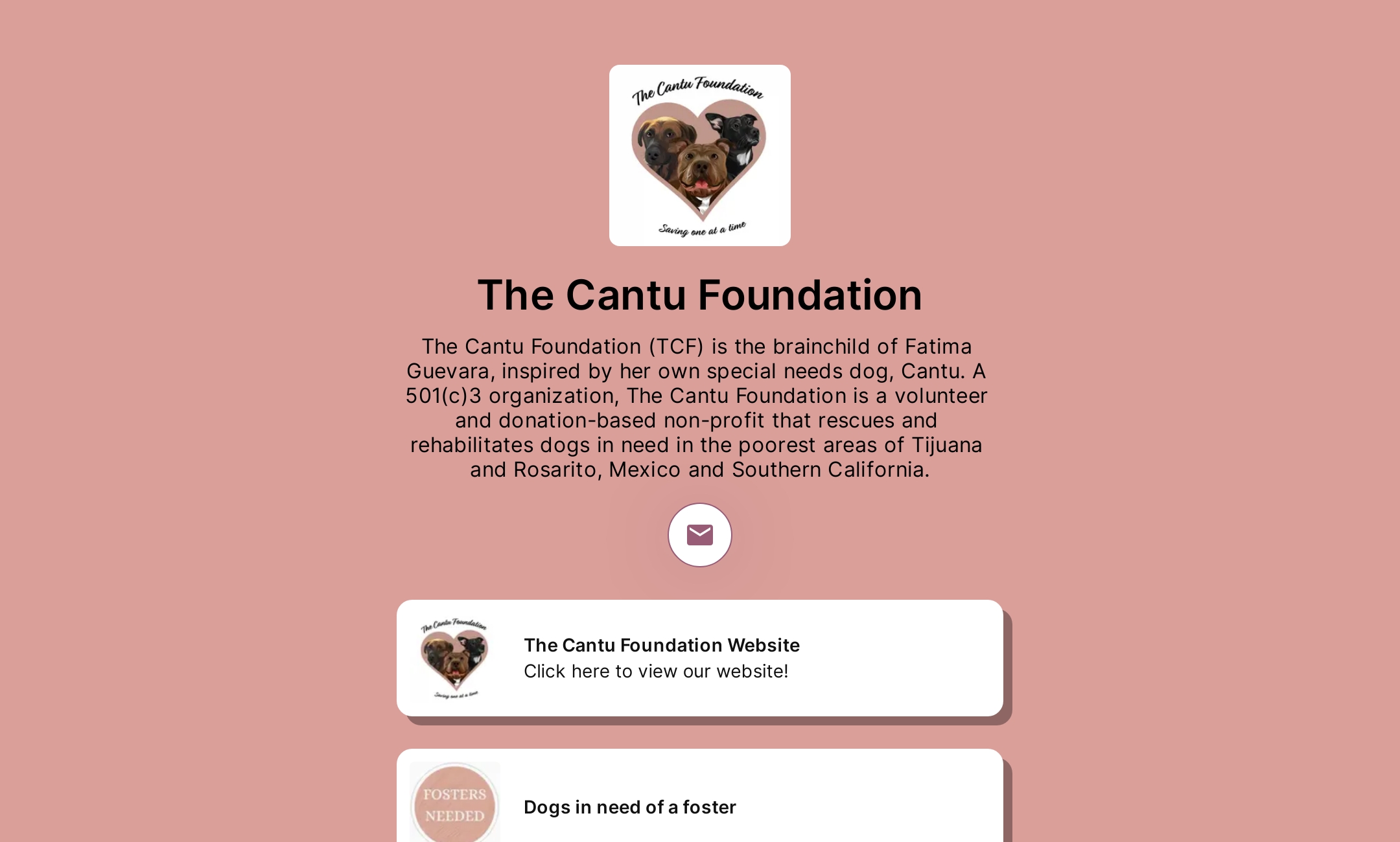 The Cantu Foundation's Flowpage