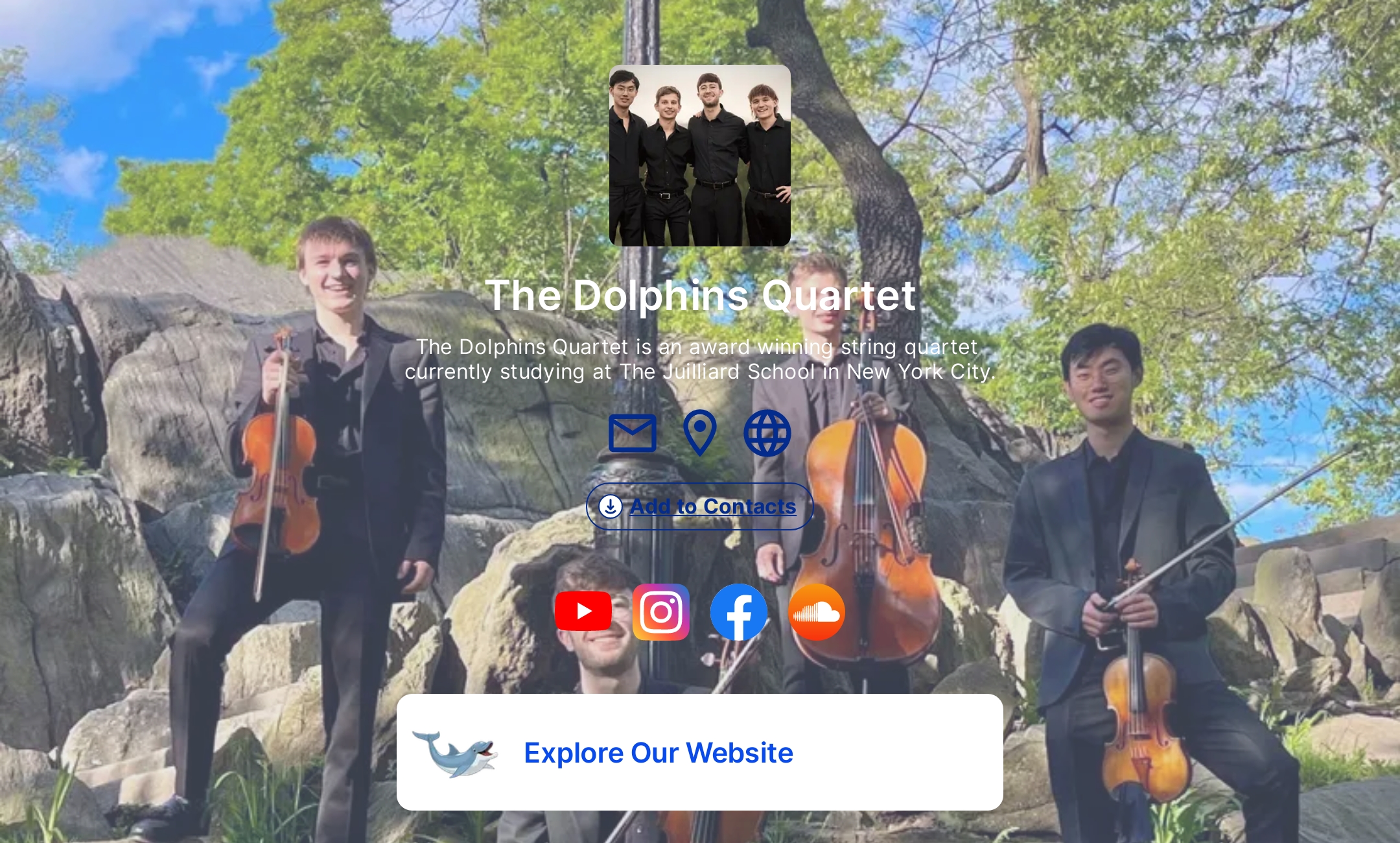 The Dolphins Quartet's Flowpage