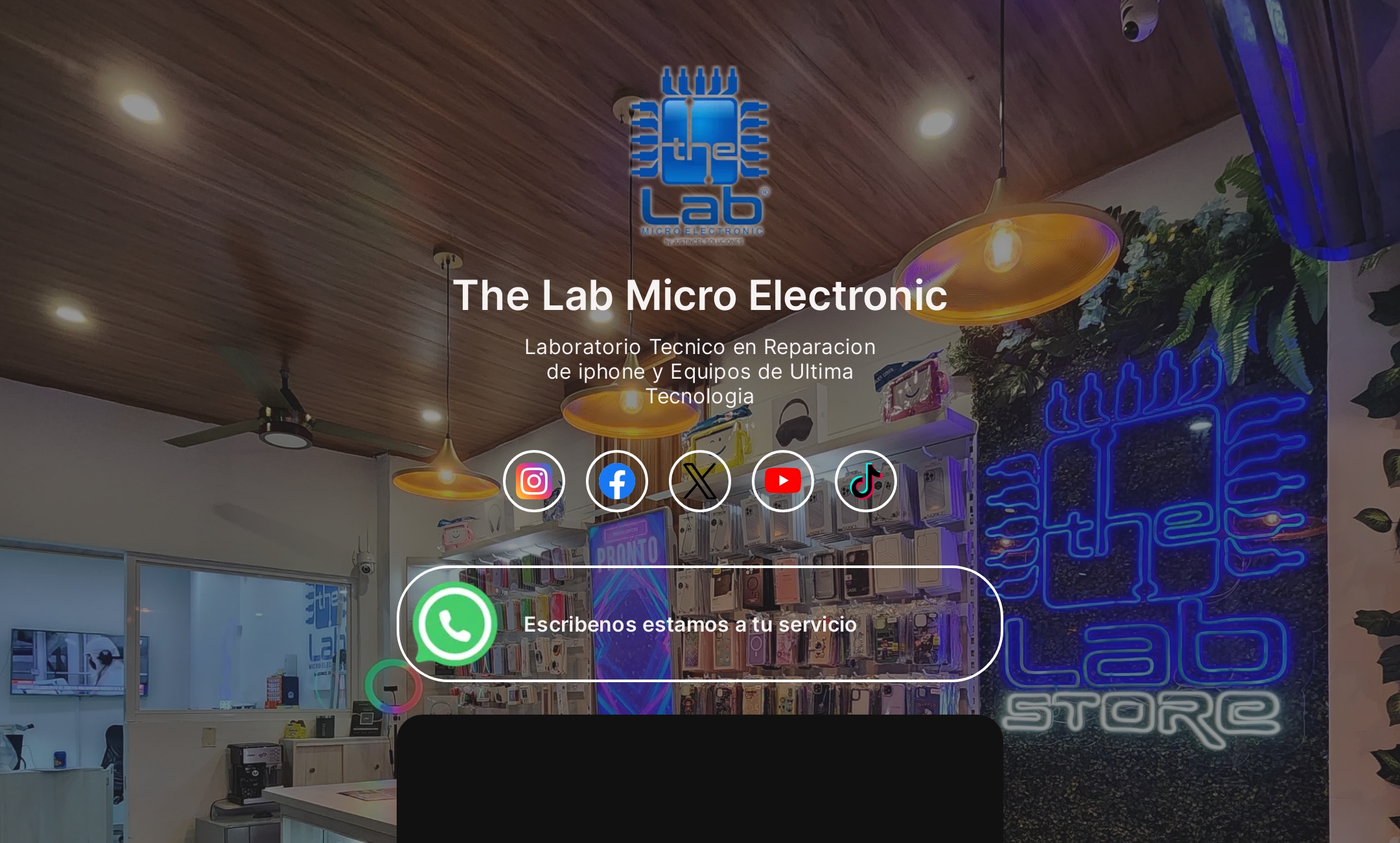 The Lab Micro Electronic's Flowpage