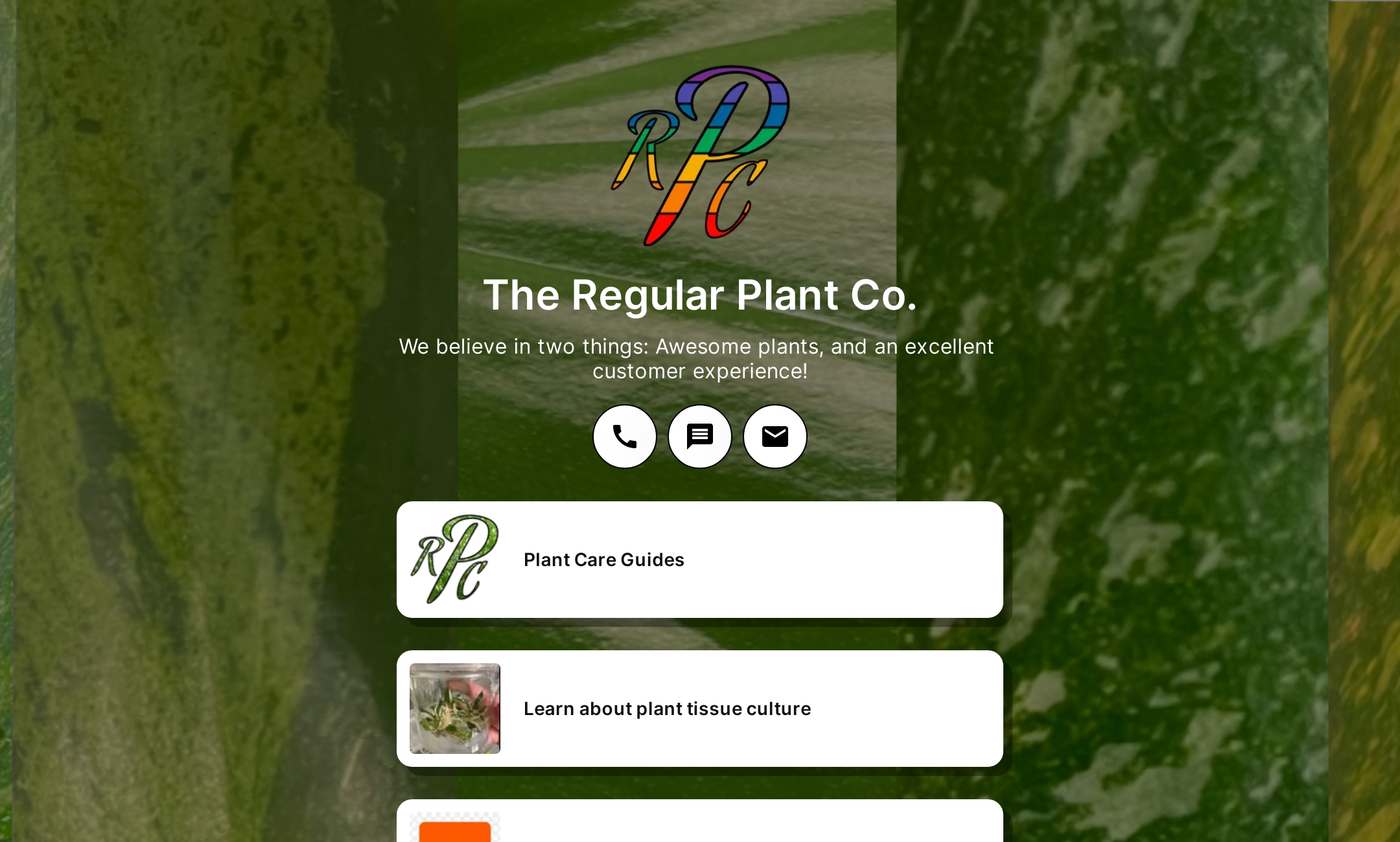 The Regular Plant Co.