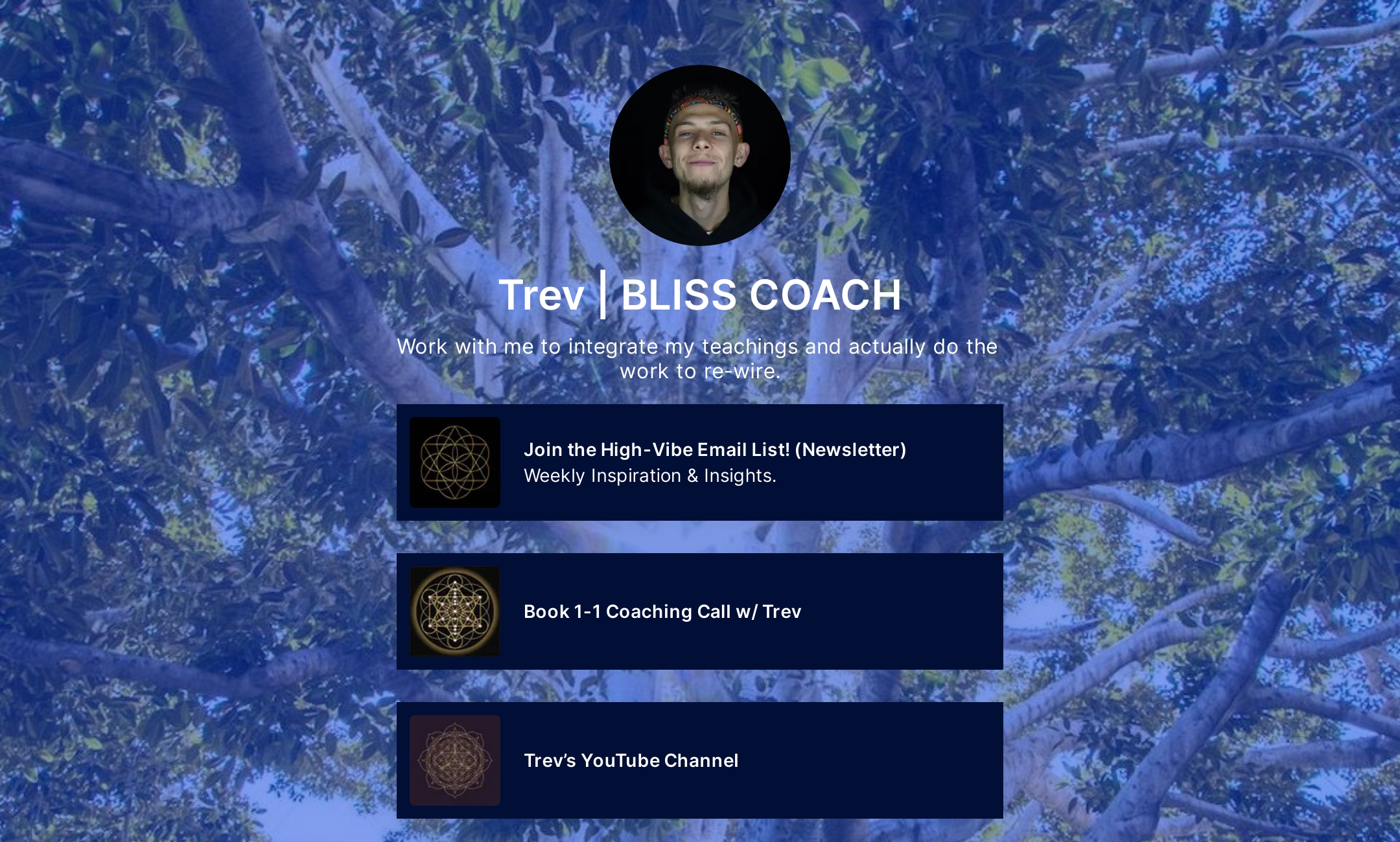 Trev | BLISS COACH's Flowpage