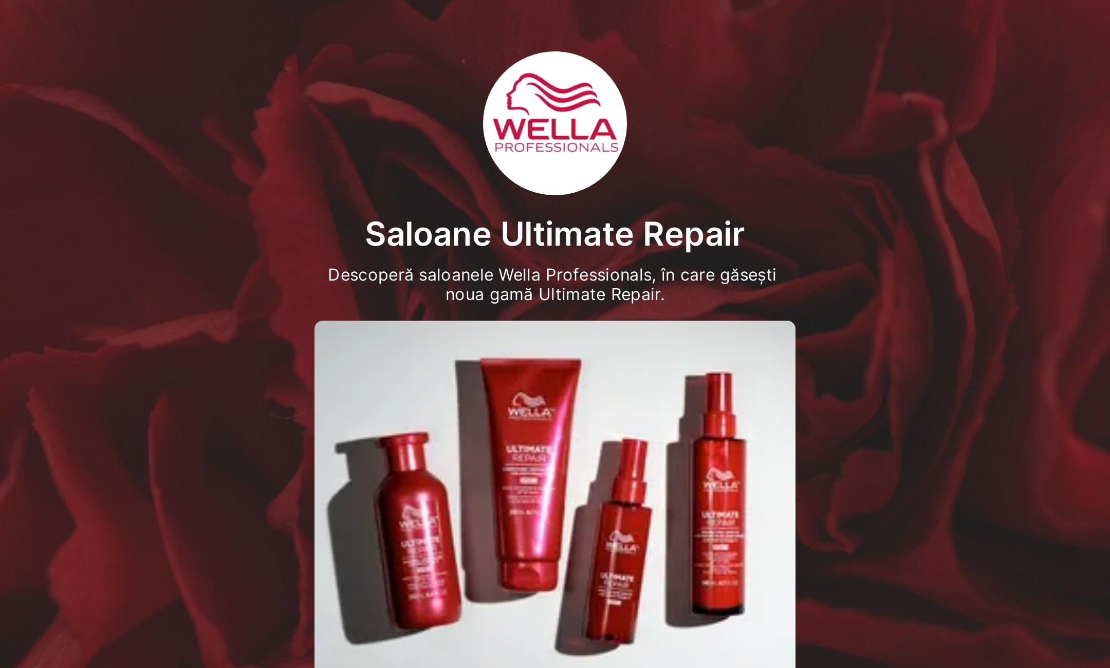 Saloane Ultimate Repair's Flowpage