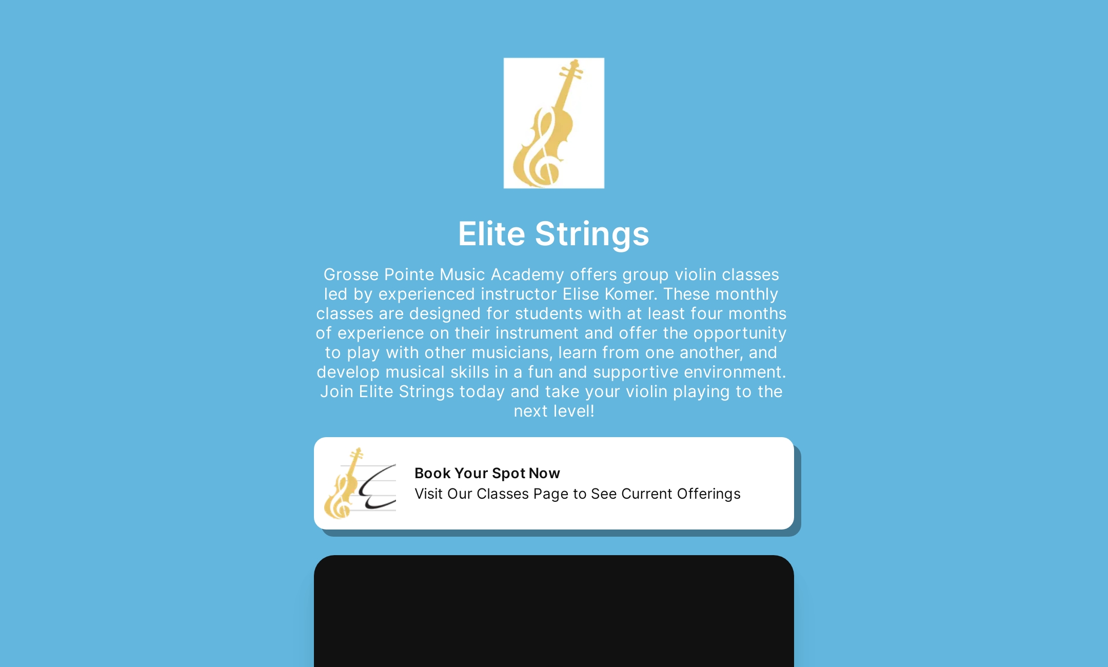 Group Violin Lessons and Private Violin Lessons