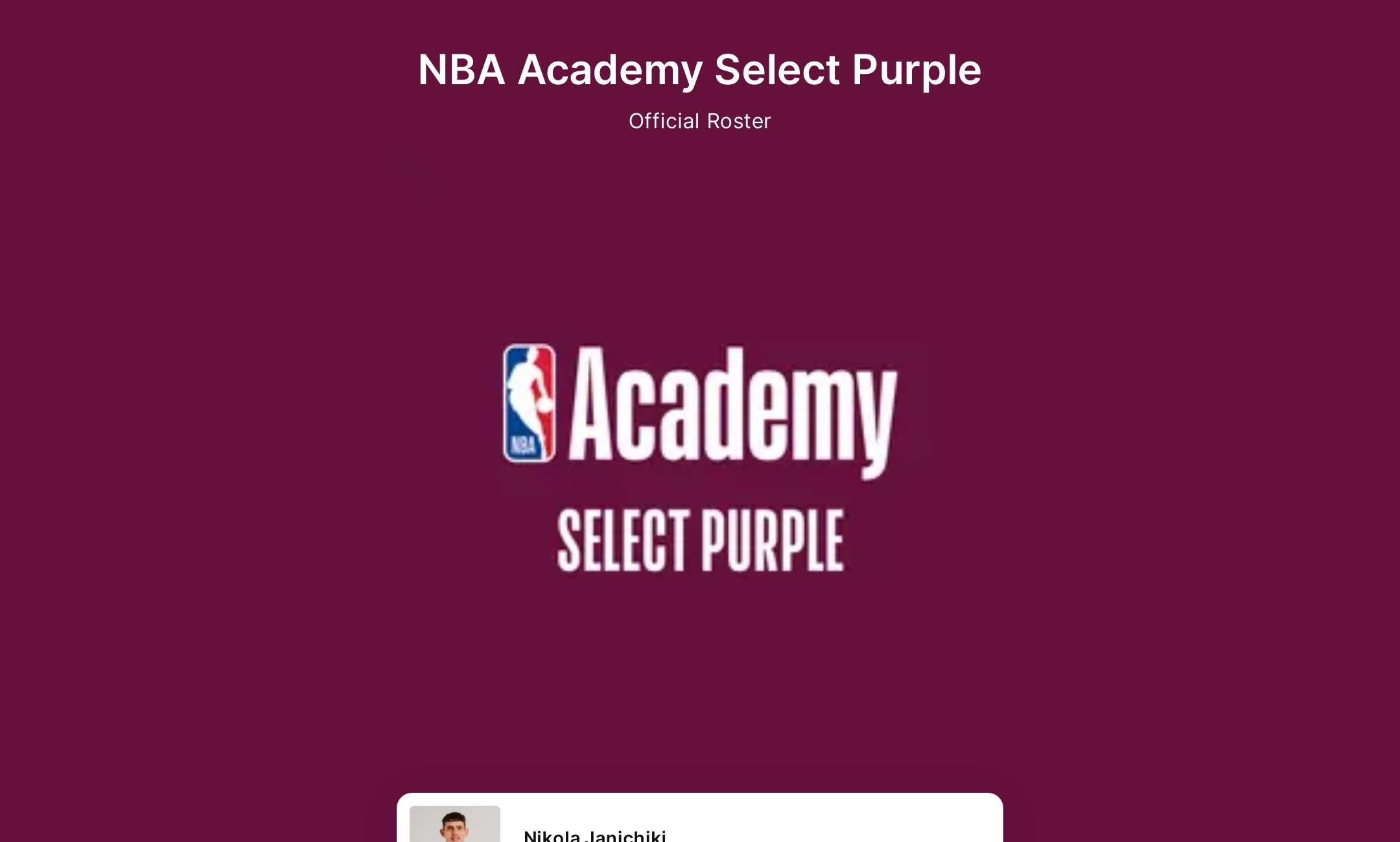NBA Academy Select Purple's Flowpage