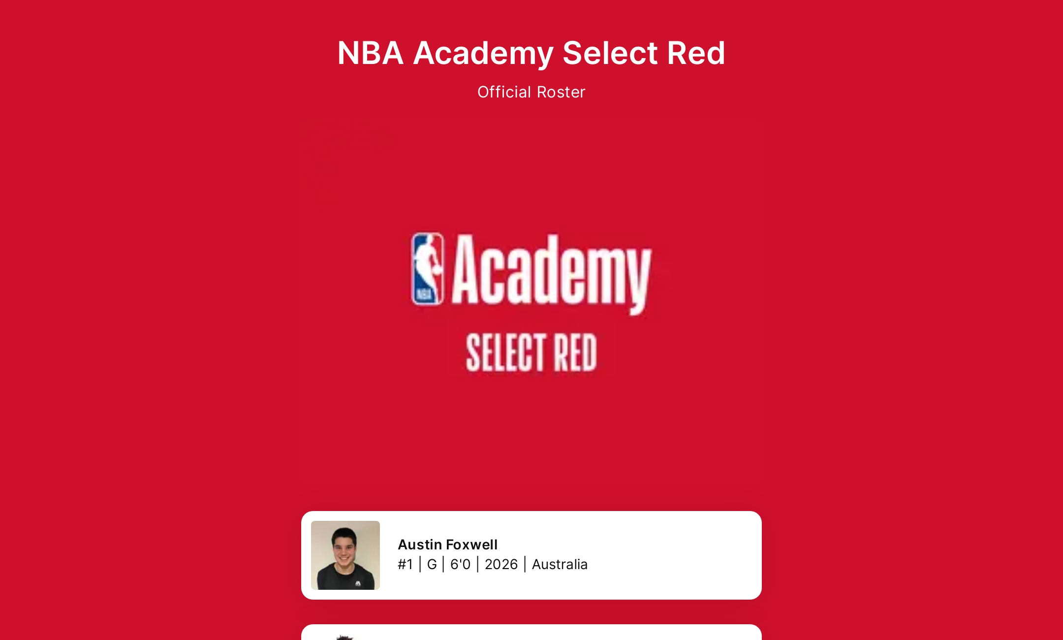 NBA Academy Select Red's Flowpage